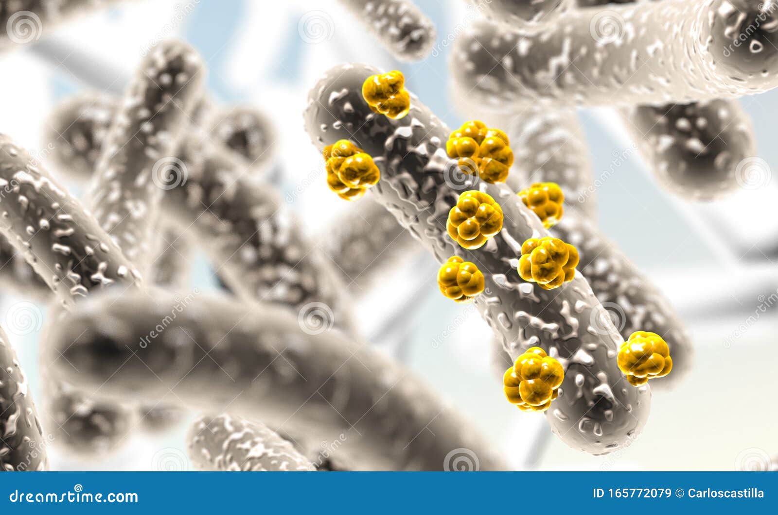 Microbacteria And Bacterial Organisms.biology And Science Background ...