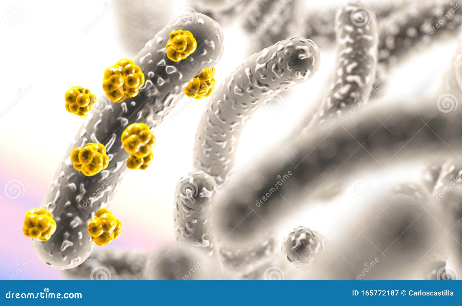 Microbacteria and Bacterial Organisms.biology and Science Background ...