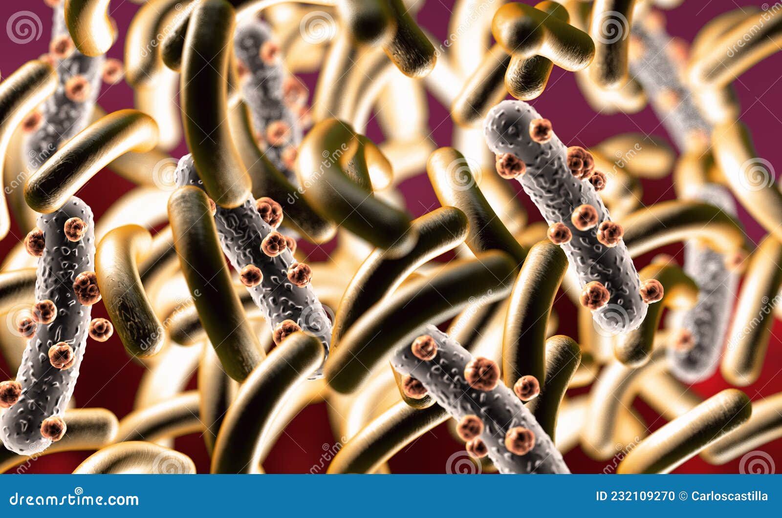 Microbacteria and Bacterial Organisms.biology and Science Background ...