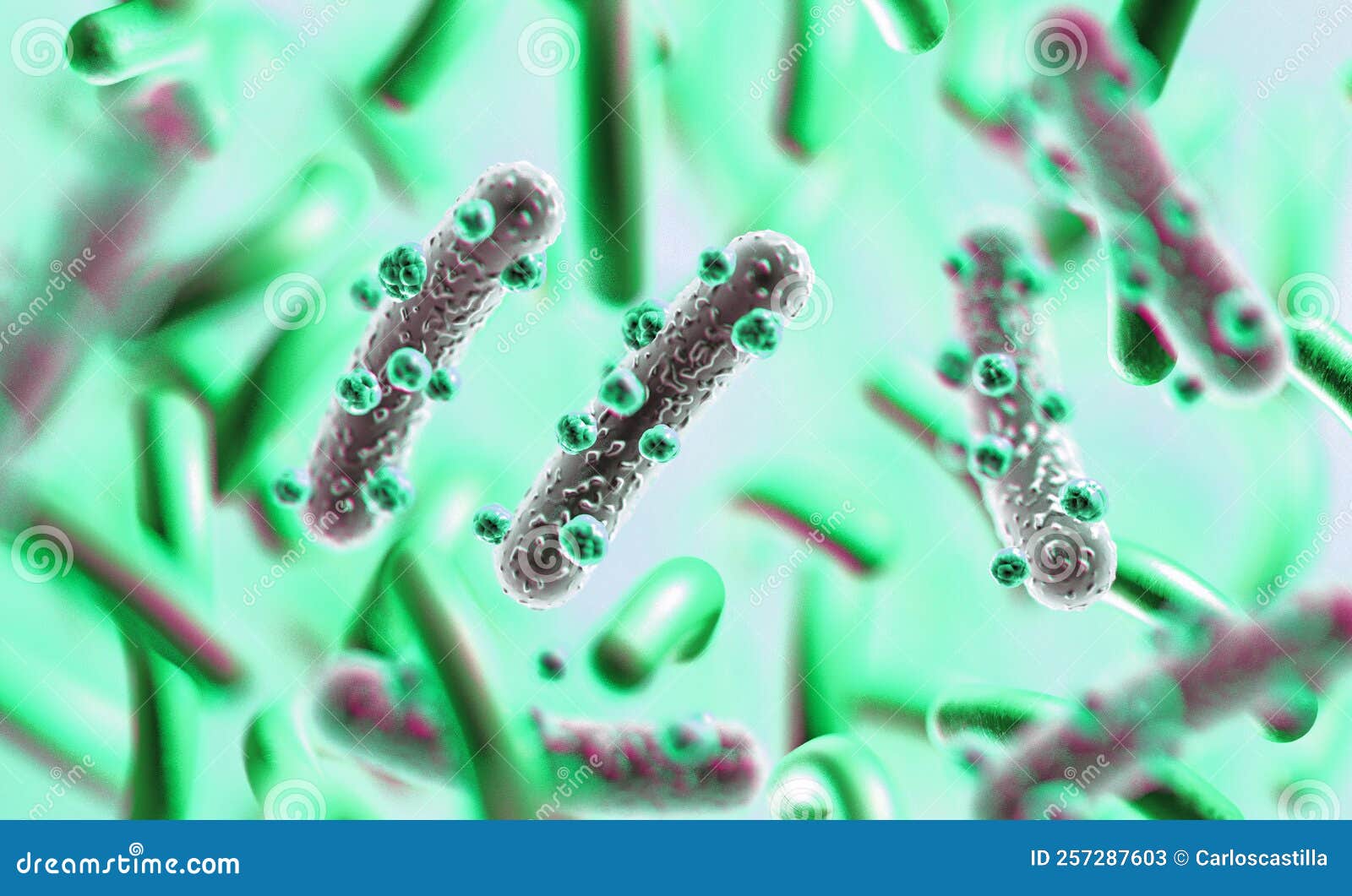 Microbacteria and Bacterial Organisms.biology and Science Background ...