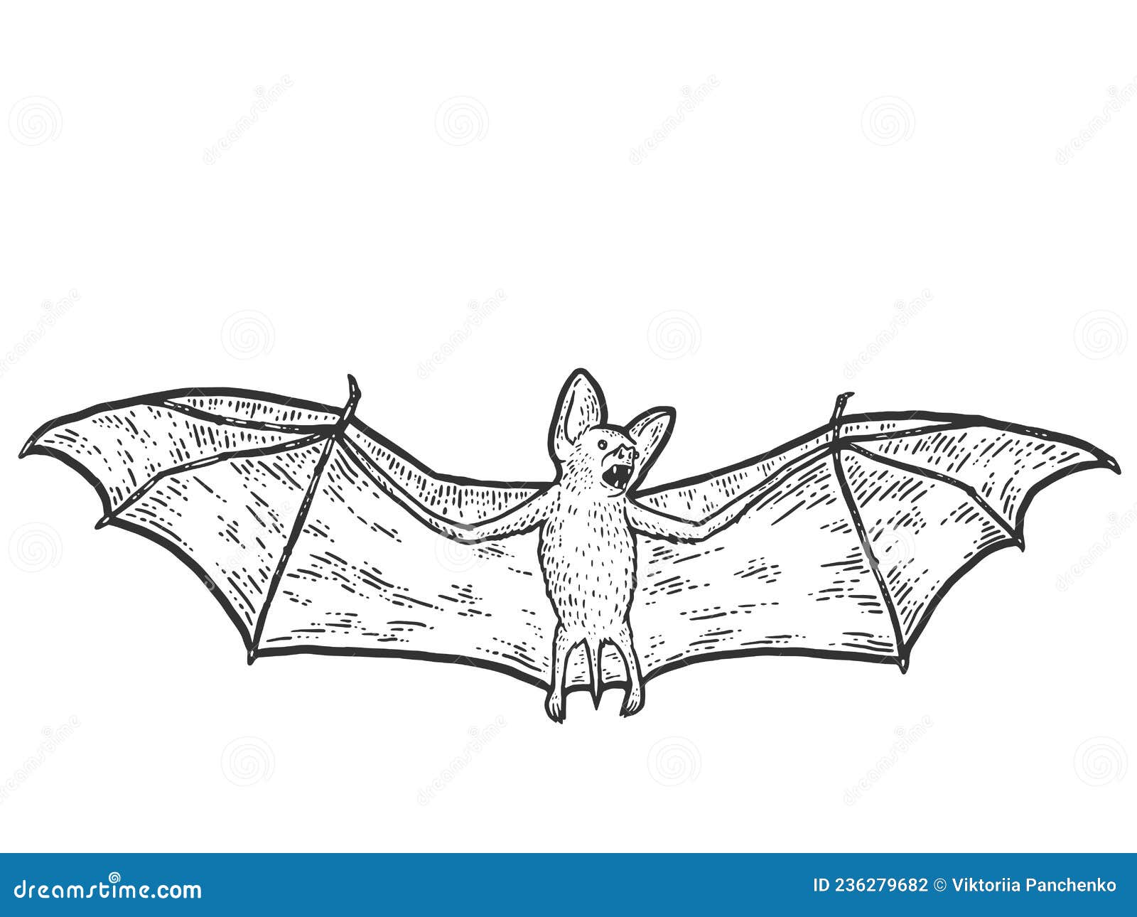 Microbat Cartoons, Illustrations & Vector Stock Images - 82 Pictures to ...