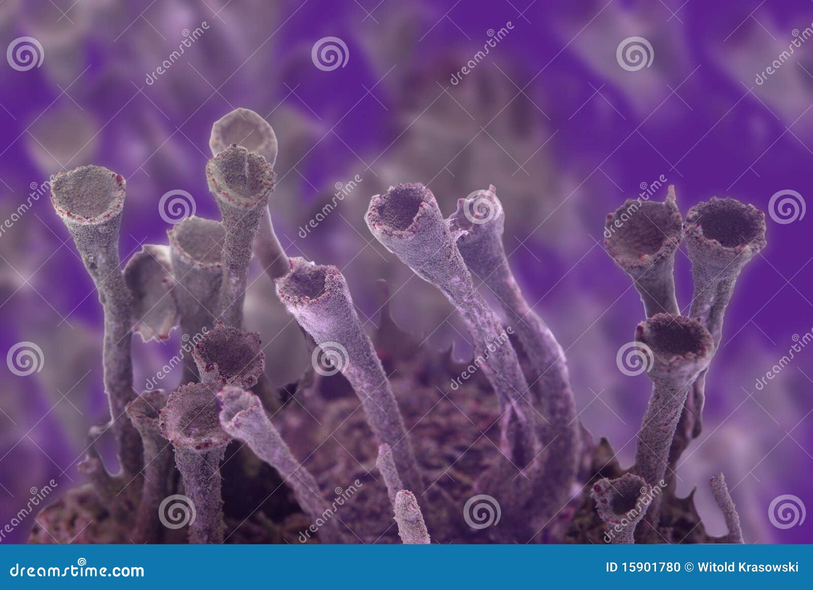 Microbe, stock photo. Image of small, virus, microscope - 15901780