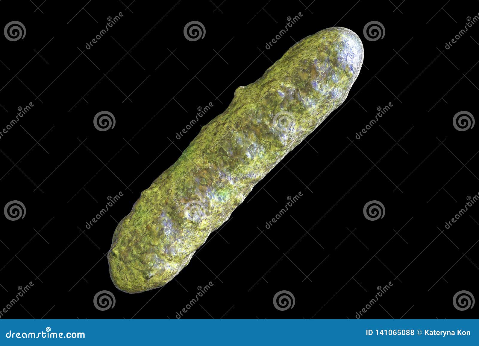 Microbe, Microorganism, Rod-shaped Bacterium Stock Illustration ...