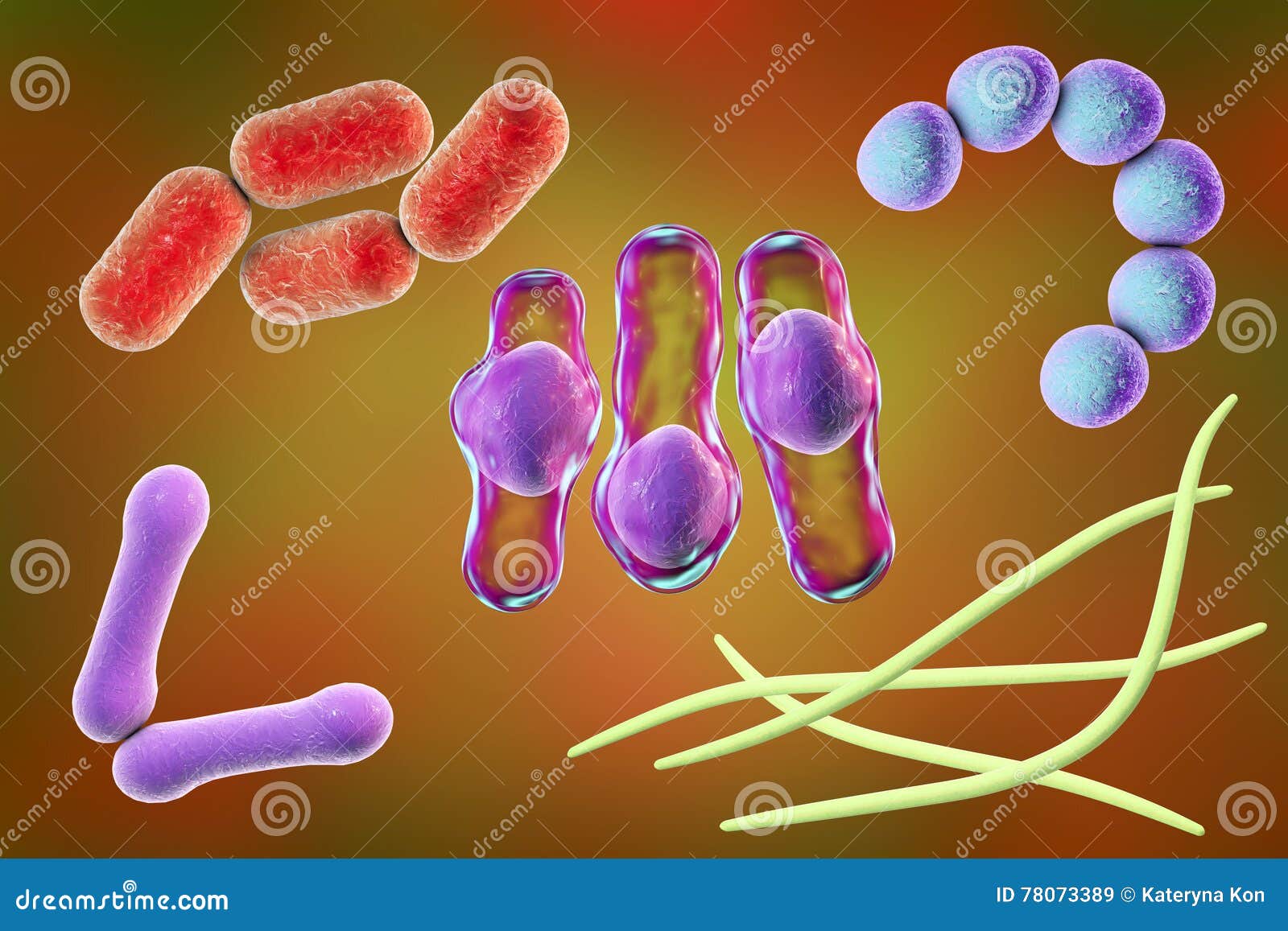 Microbes De Différentes Formes Illustration Stock - Illustration du ...