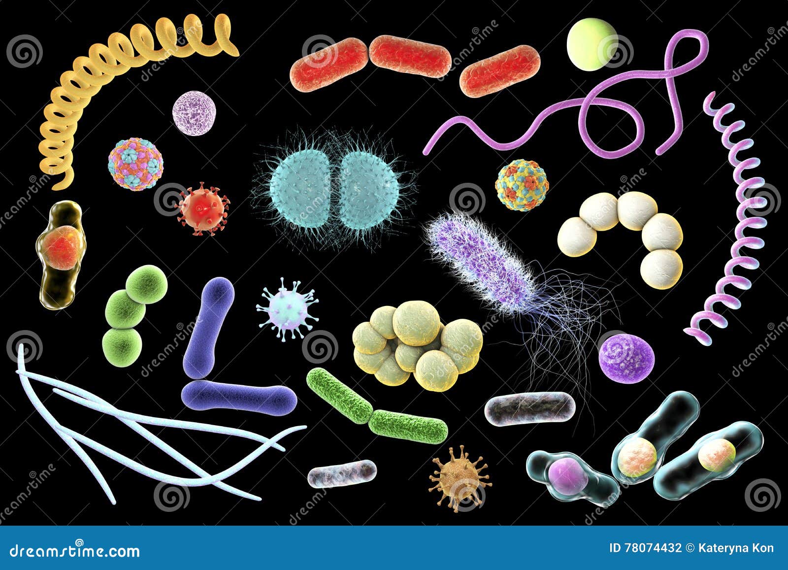 Microbes De Différentes Formes Illustration Stock - Illustration du ...
