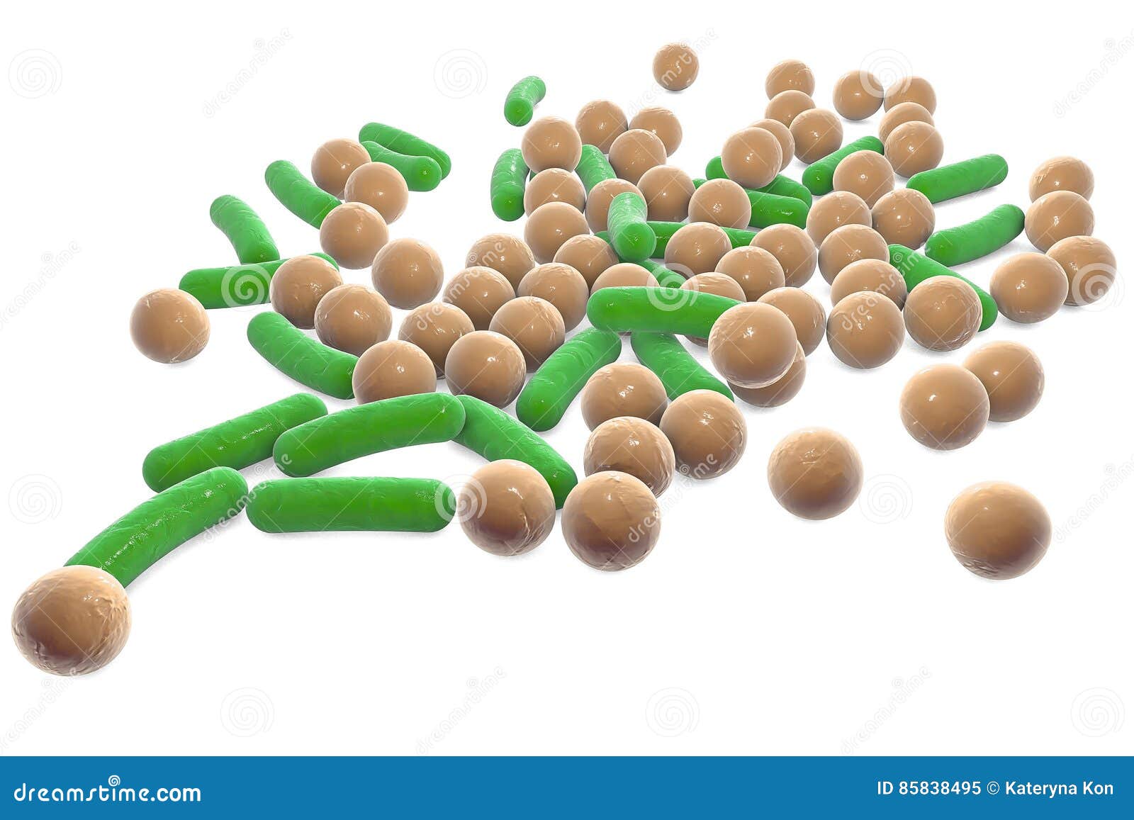 Microbes of Different Shapes Stock Image - Image of medicine, cells ...