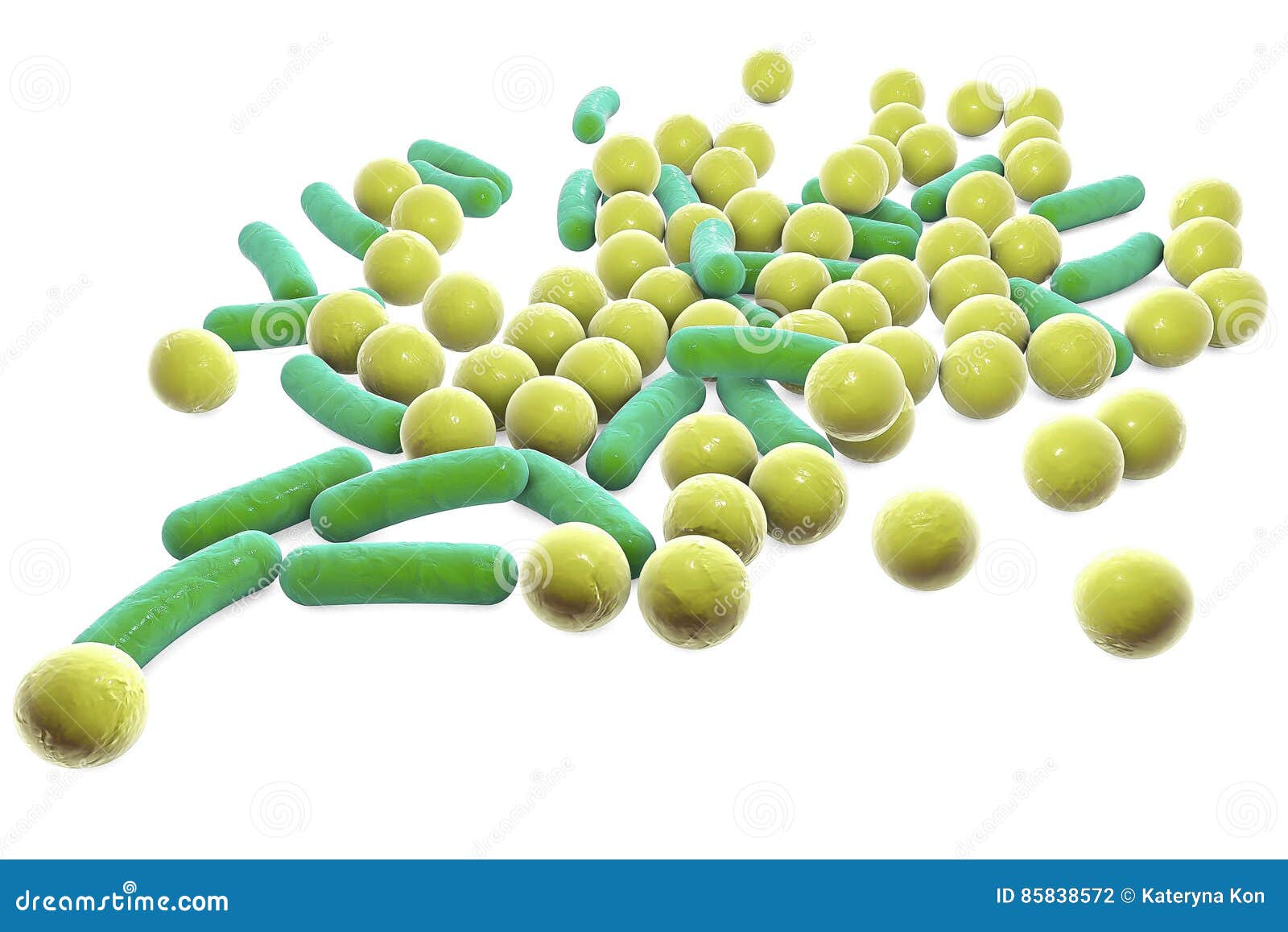 Microbes of Different Shapes Stock Photo - Image of science, cells ...