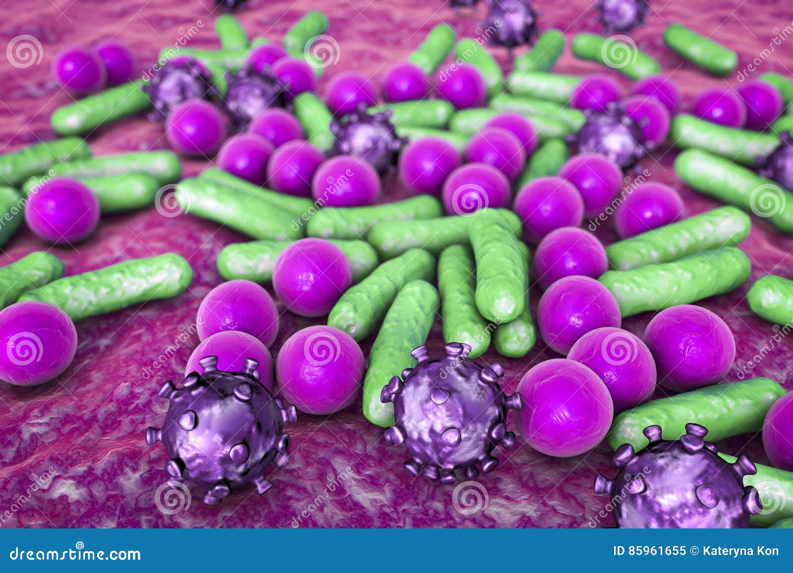 Microbes of Different Shapes Stock Image - Image of medical ...