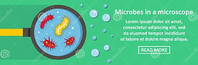 Microbes in a Microscope Banner Horizontal Concept Stock Vector ...