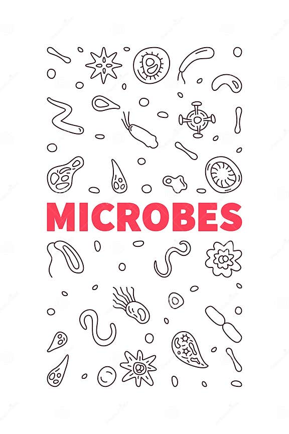 Microbes Vector Science Concept Thin Line Minimal Vertical Banner or ...