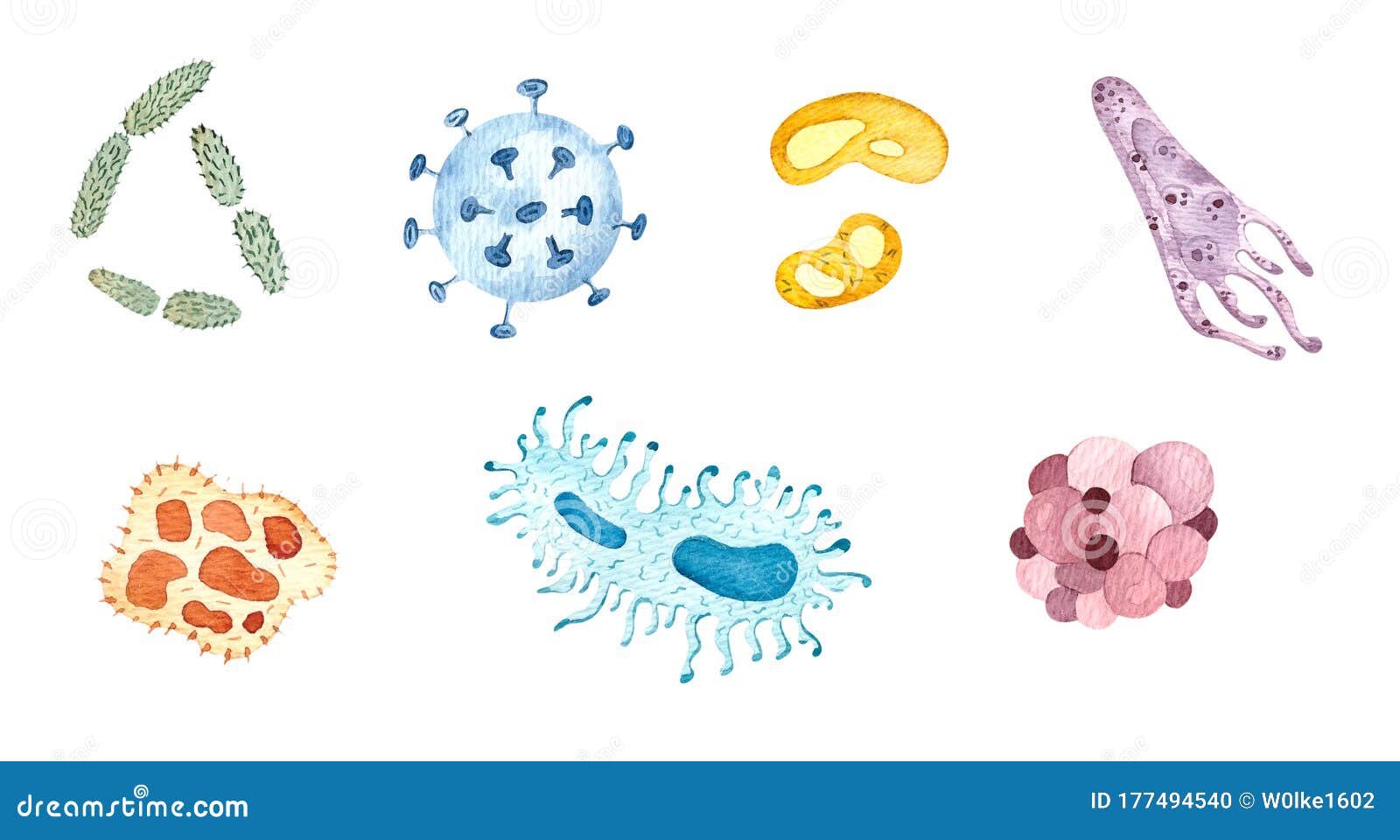 Microbes, watercolor set stock illustration. Illustration of bacterium ...