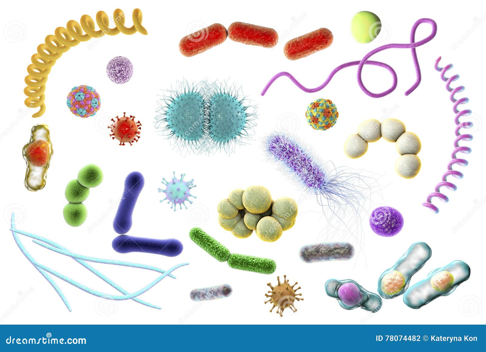 Microbi Delle Forme Differenti Illustrazione di Stock - Illustrazione ...