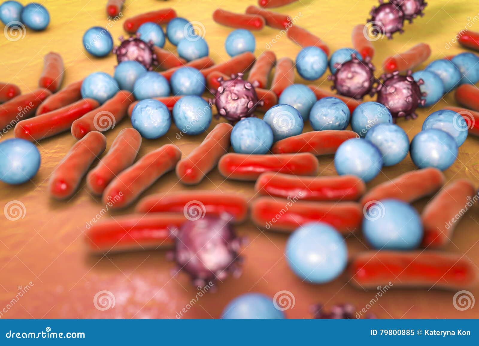 Microbi Delle Forme Differenti Immagine Stock - Immagine di chiusura ...