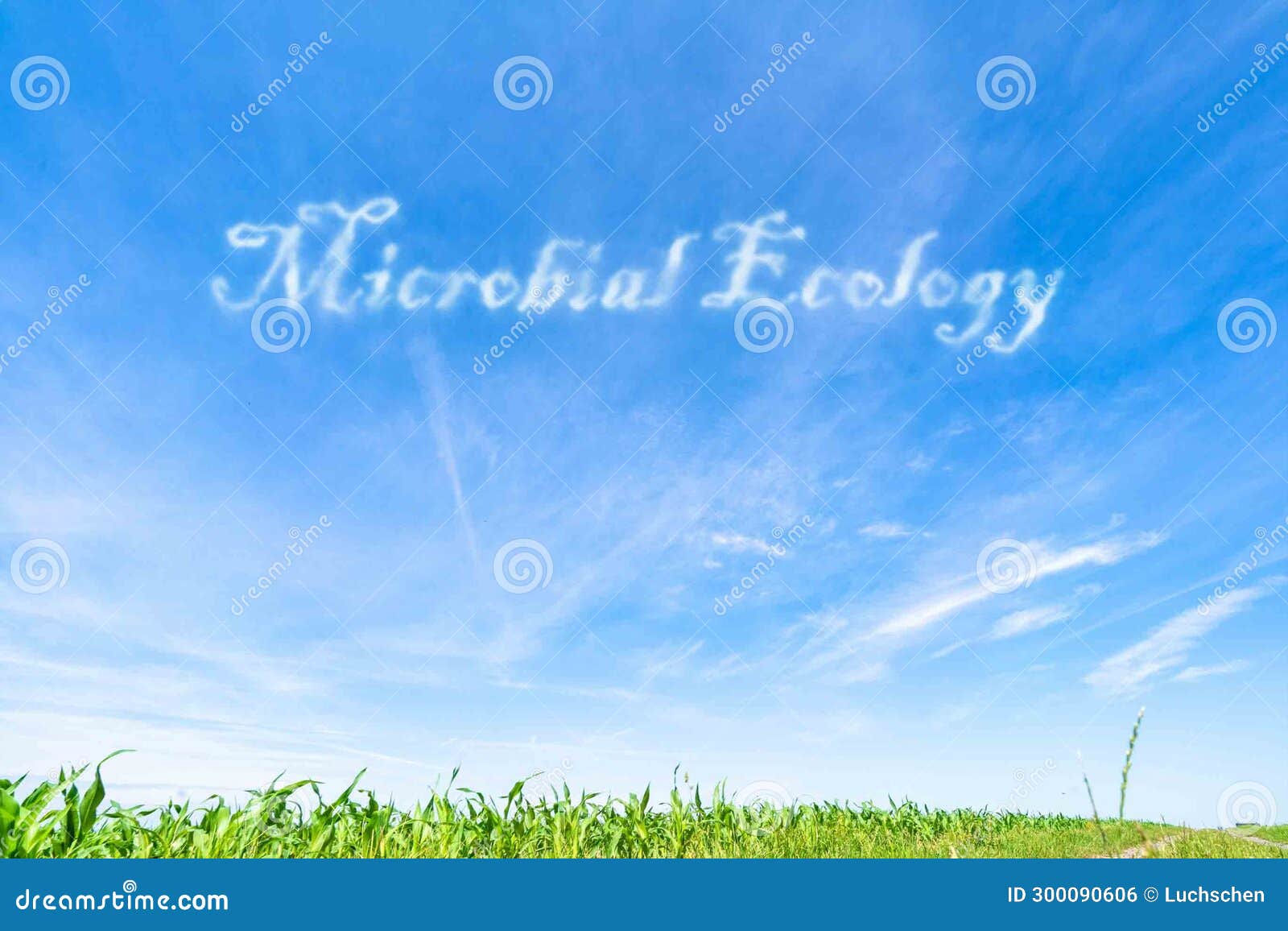 Microbial Ecology: Study of Microorganisms Roles in Ecosystems ...