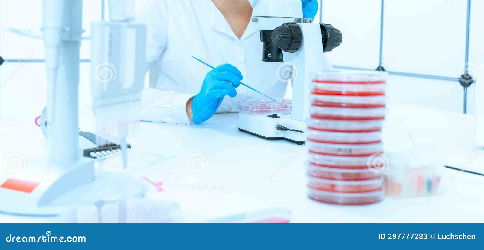 Microbial Process Investigation: Microscopes Allow Observing Microbial ...