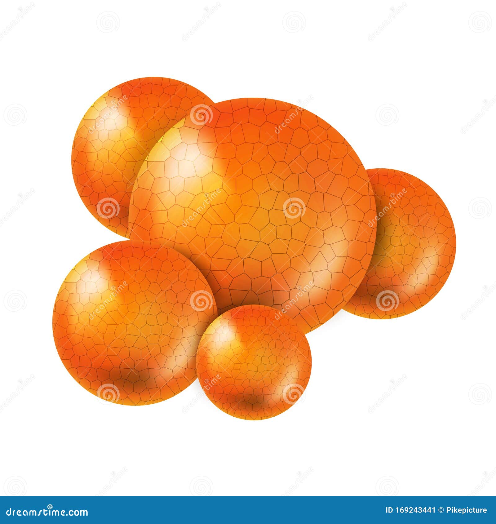 Cocci Shape Of Bacteria. Streptococci Type Bacteria. Stock Photography ...