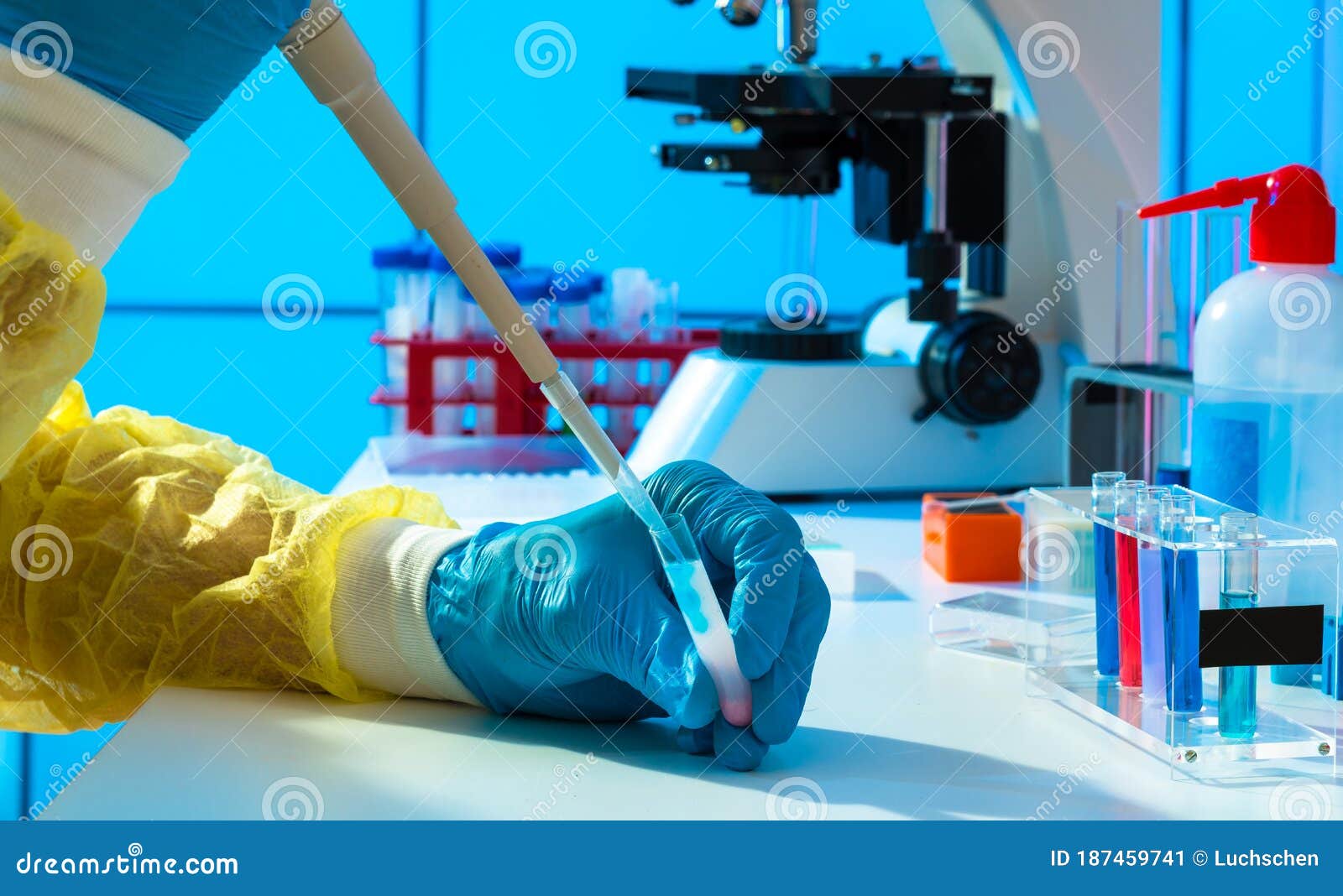 Microbiological Experiment in Medical Laboratory. Testing Genetic ...