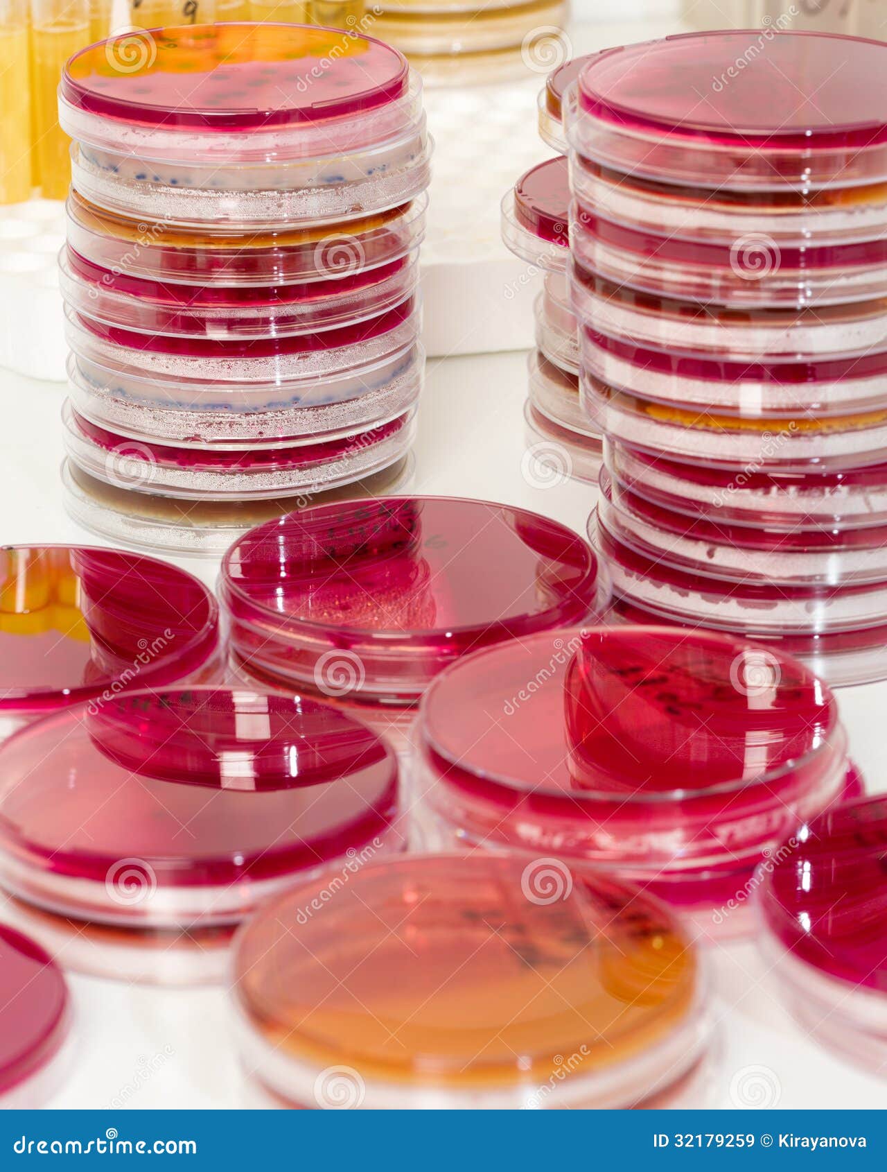 Microbiological laboratory stock image. Image of objects - 32179259