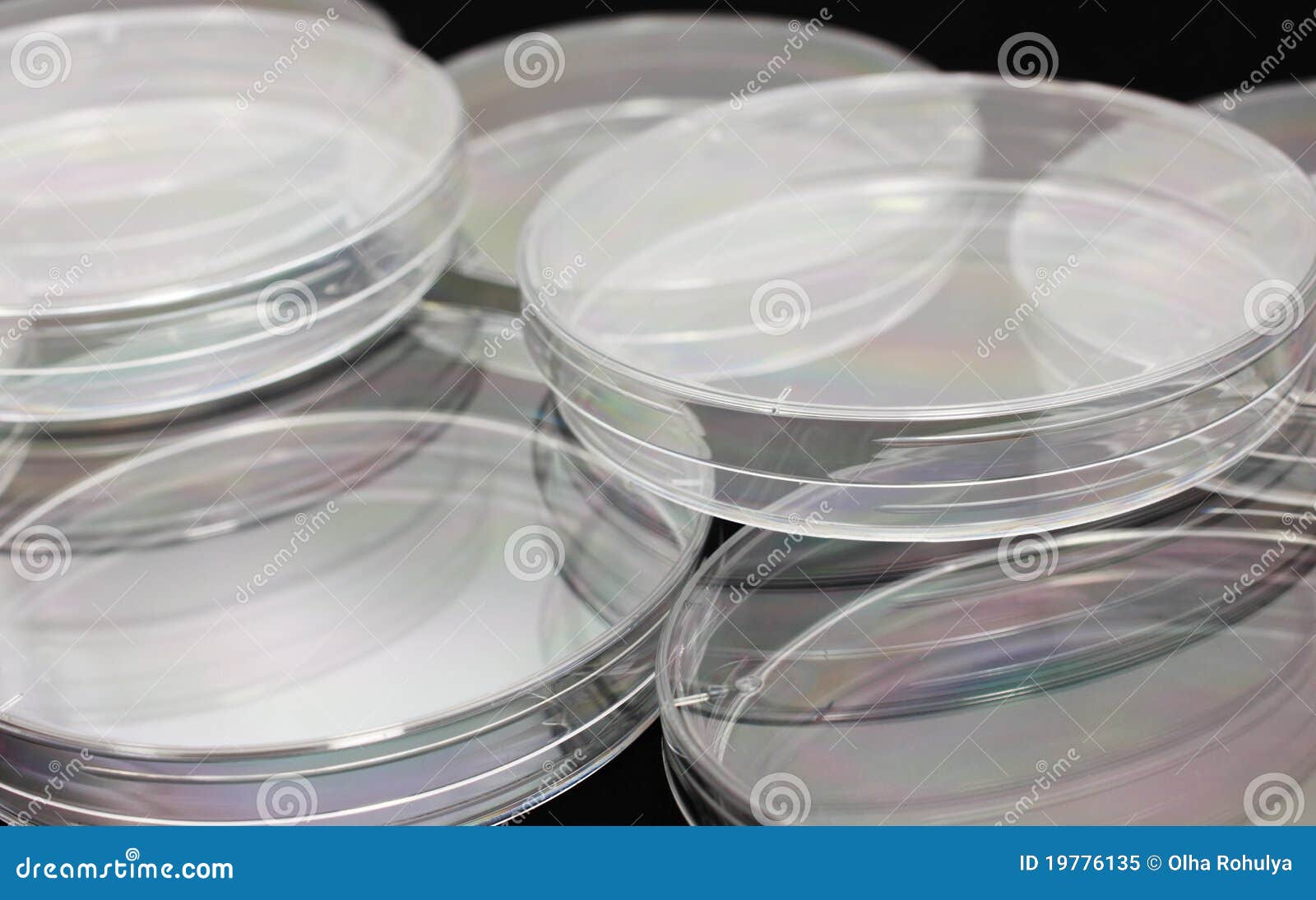 Microbiological plates stock image. Image of biology - 19776135