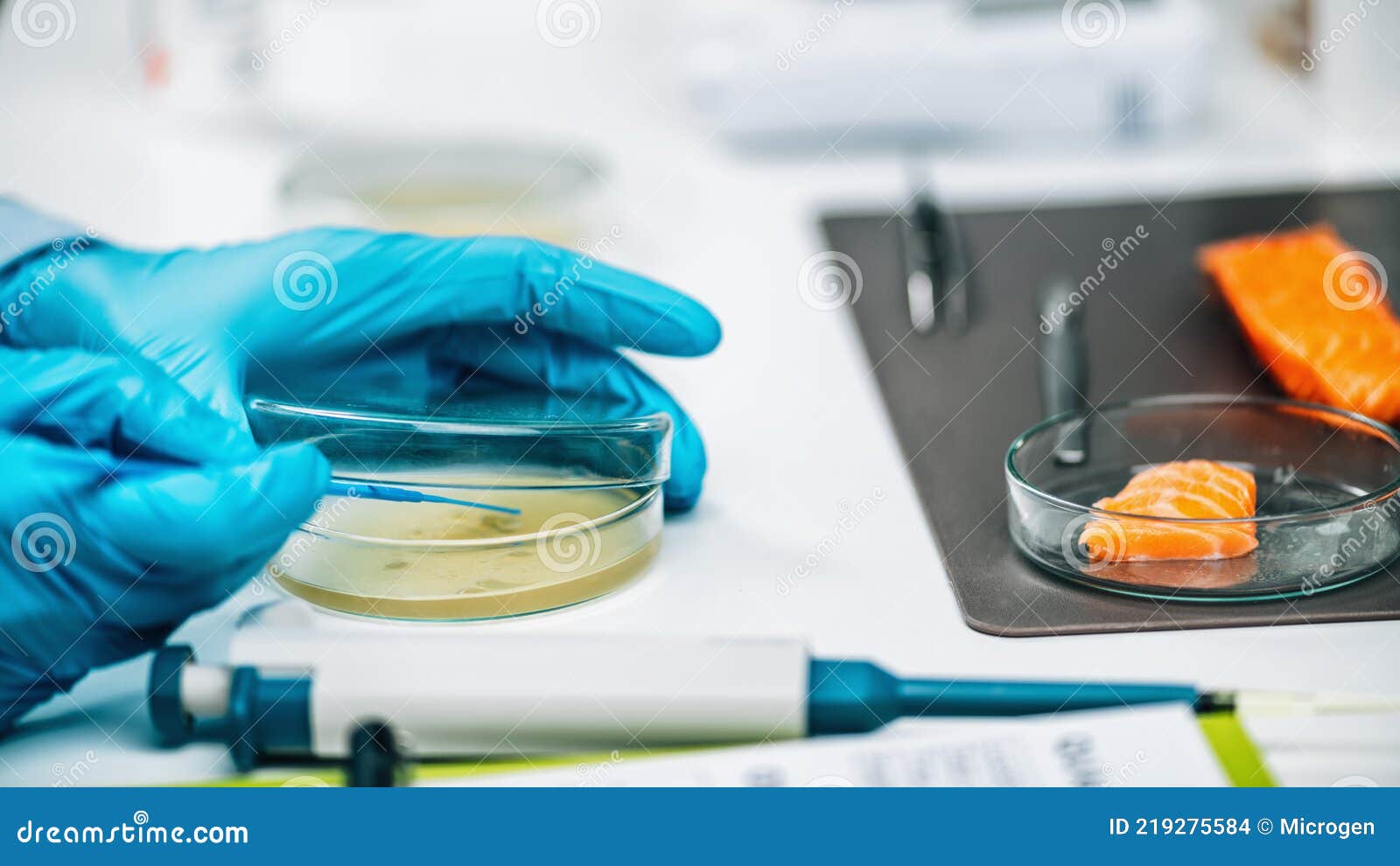 Microbiological Quality Assessment - Testing Salmon Fish Sample Stock ...