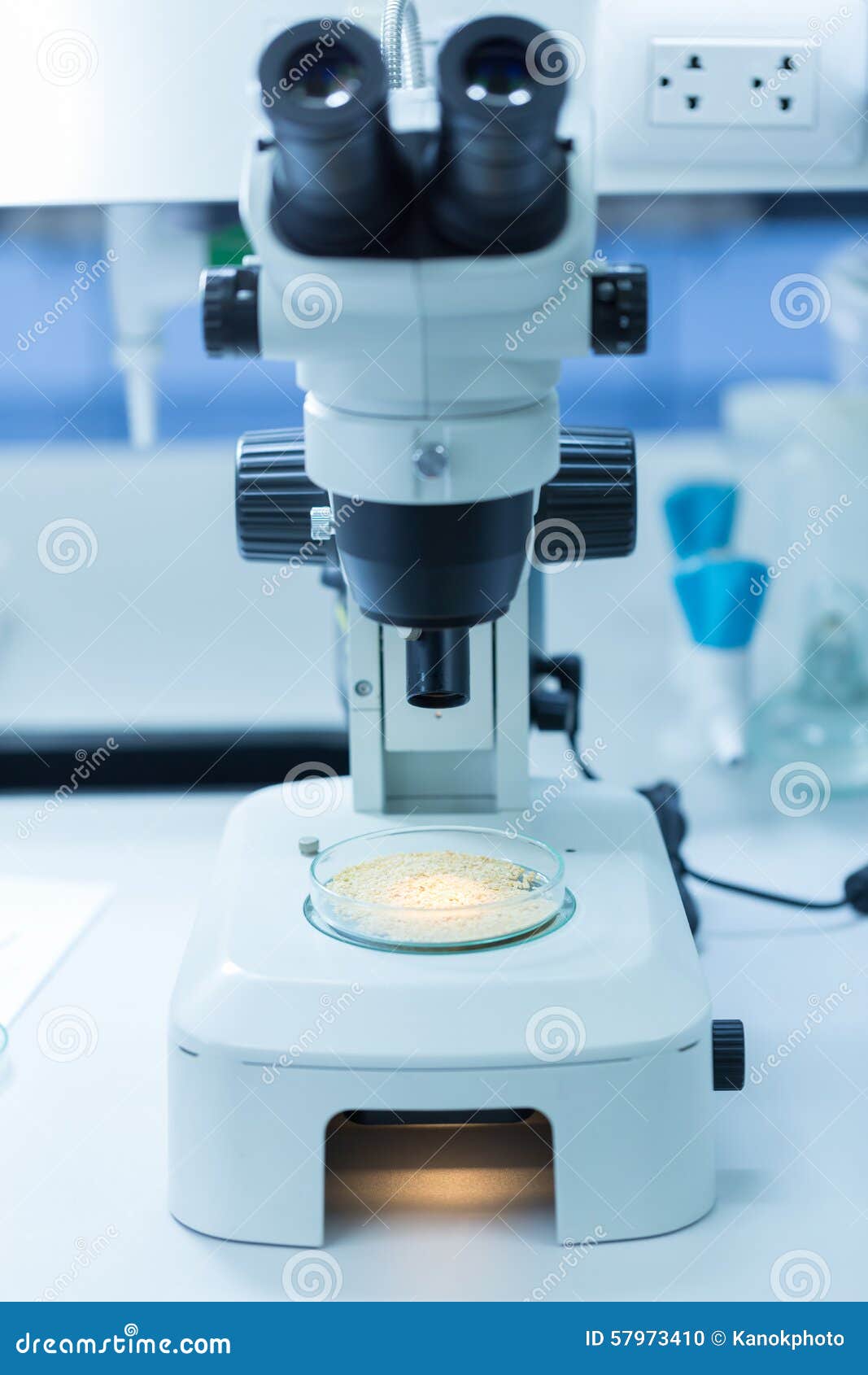 Microbiological Testing for Food Stock Photo - Image of microbiological ...