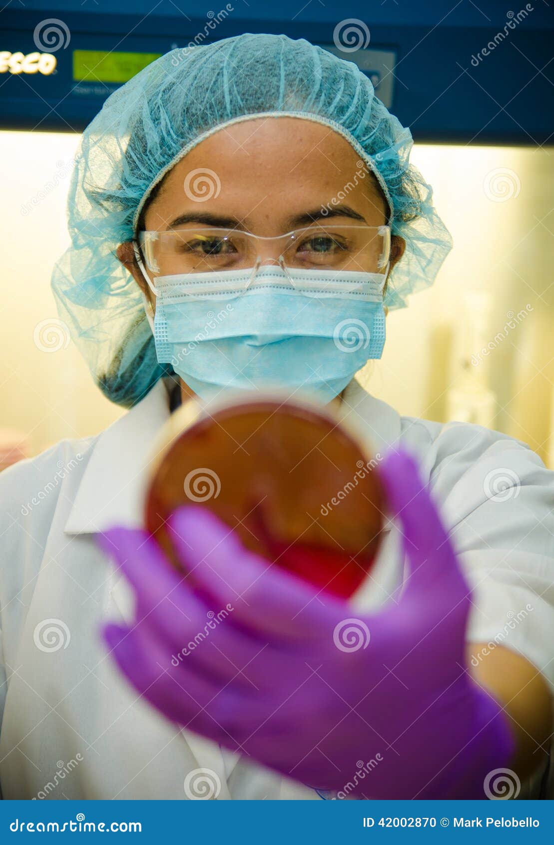 Microbiologist Examining Biological Samples With A Microscope And An ...