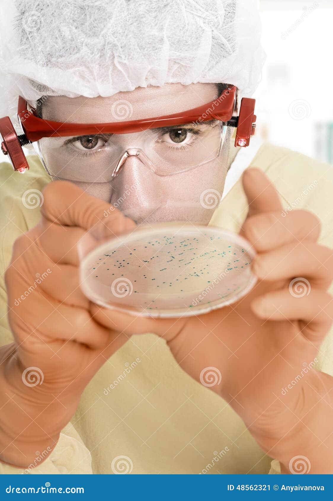 Microbiologist Picks Up Bacterial Colonies Stock Image - Image of ...