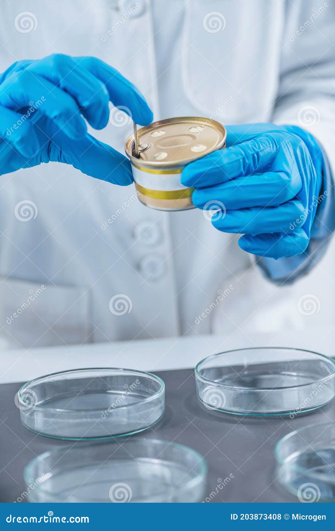 Microbiologist Preparing Sample of Canned Pet Food for Quality Control ...
