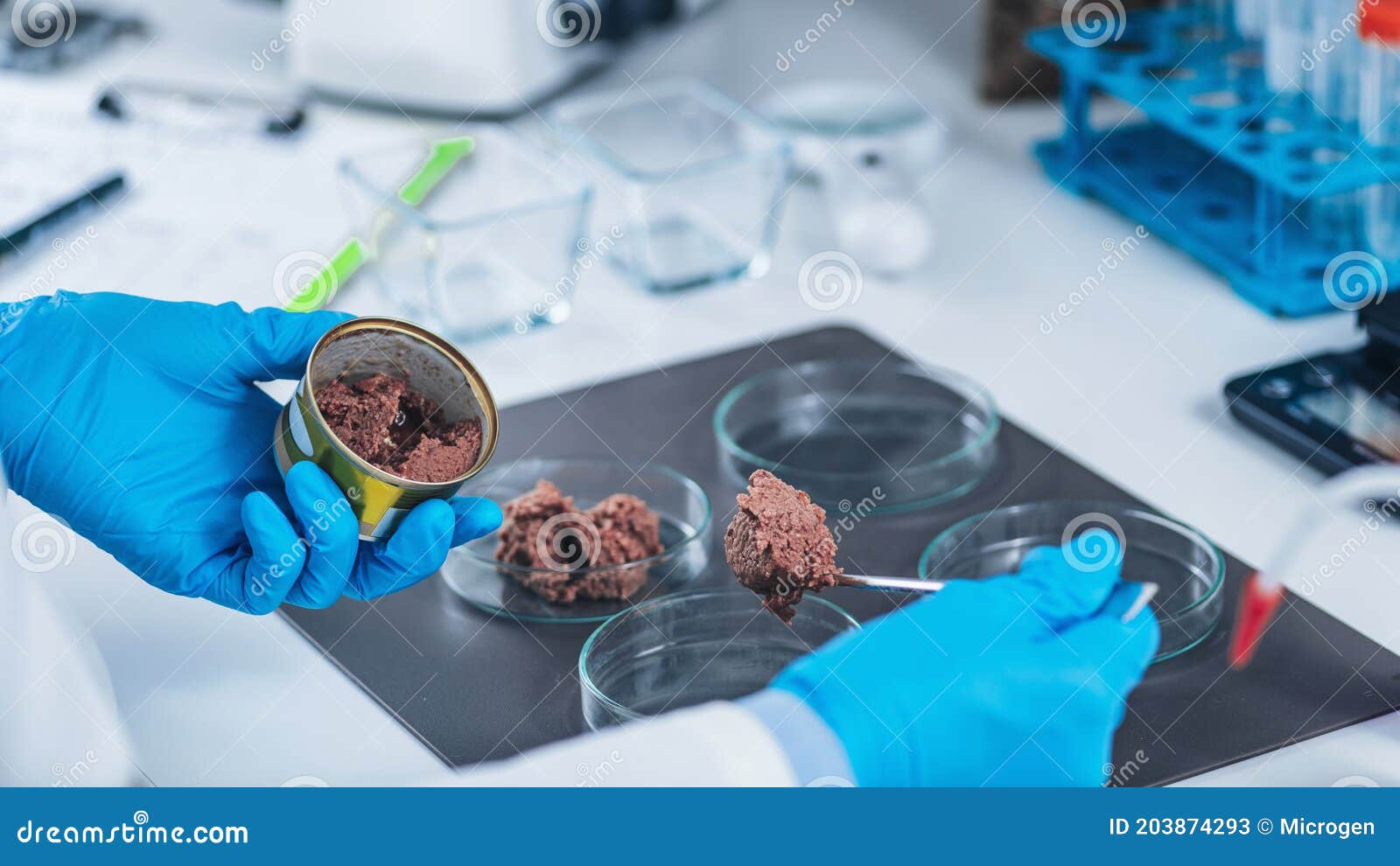 Microbiologist Preparing Sample of Canned Pet Food for Quality Control ...
