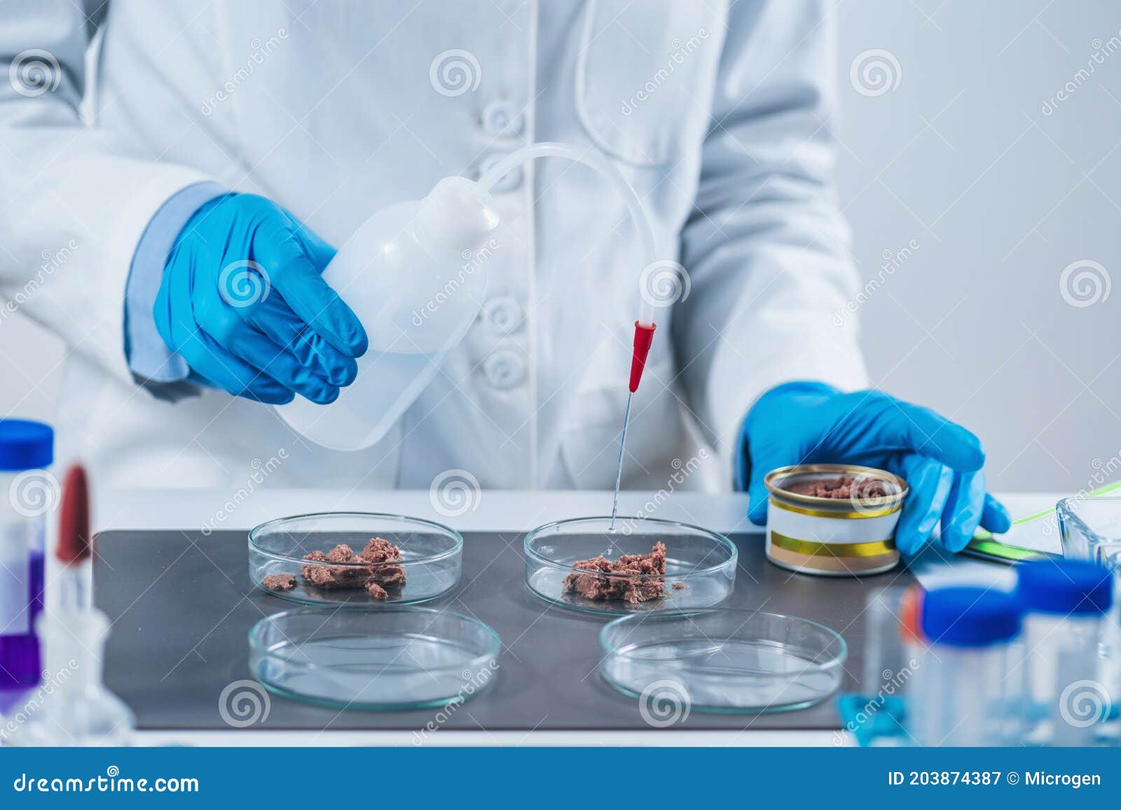 Microbiologist Preparing Sample of Canned Pet Food for Quality Control ...