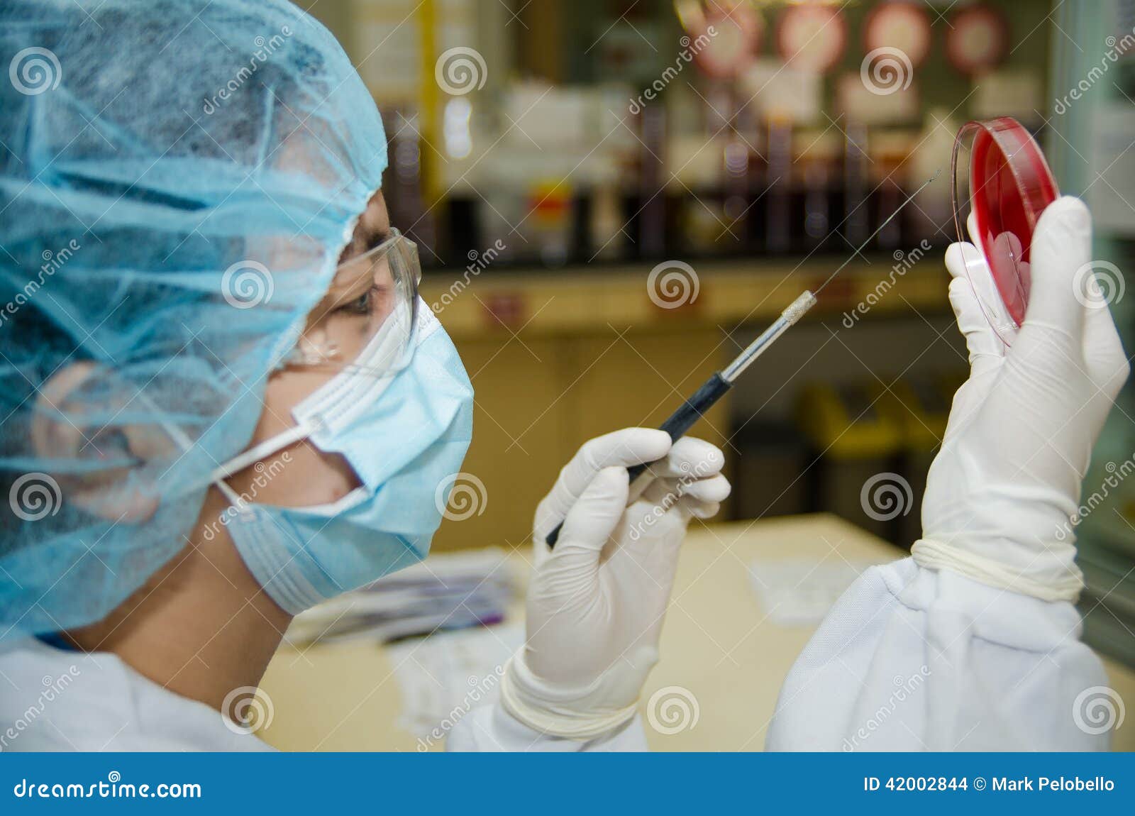Microbiologist stock photo. Image of analyzing, chemist - 42002844