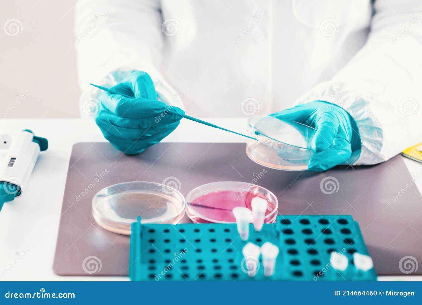 Microbiologist Working in Laboratory Stock Photo - Image of technology ...