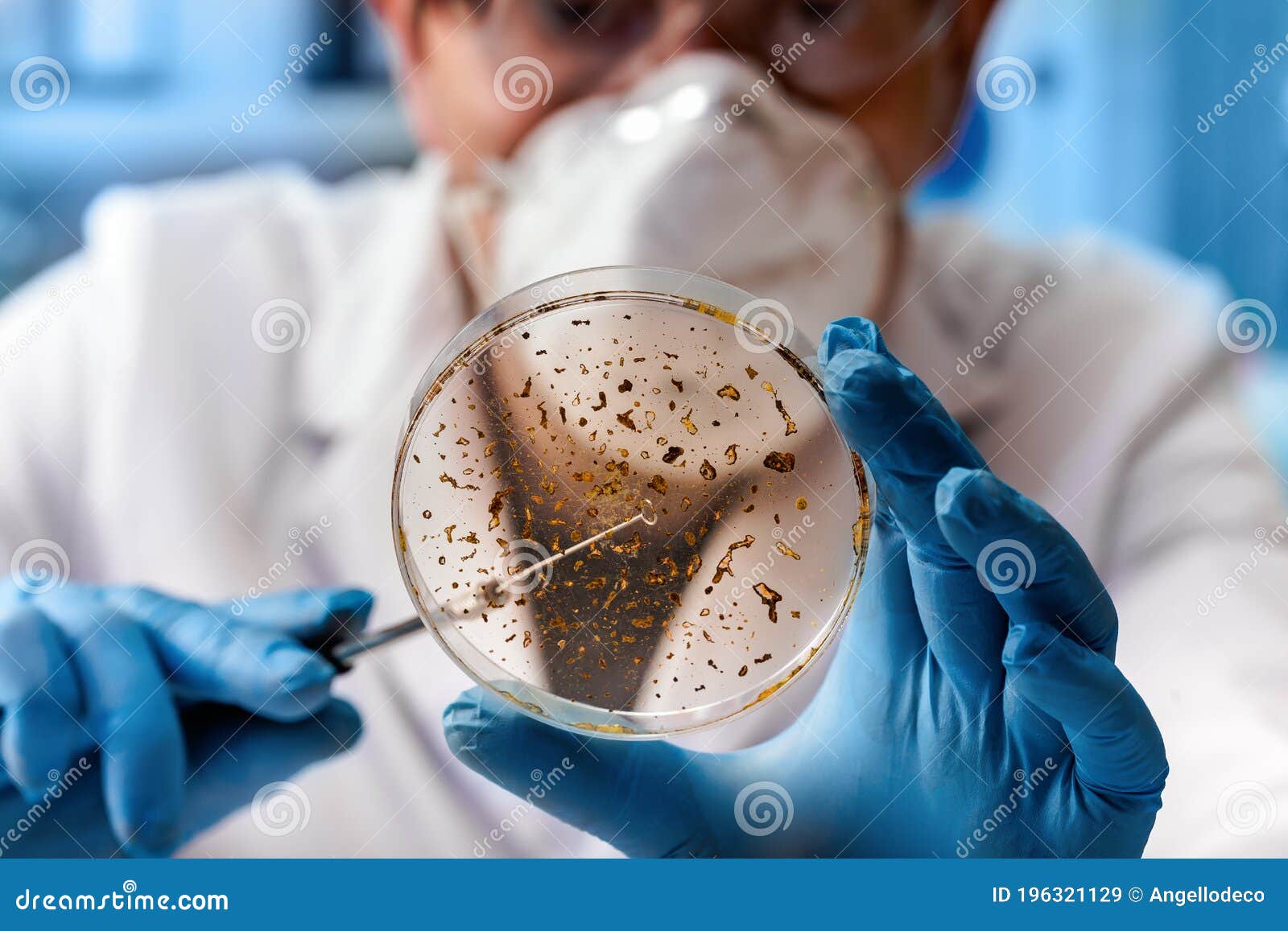 Microbiology Laboratory Agar Plate Full Of Micro Bacterias And ...