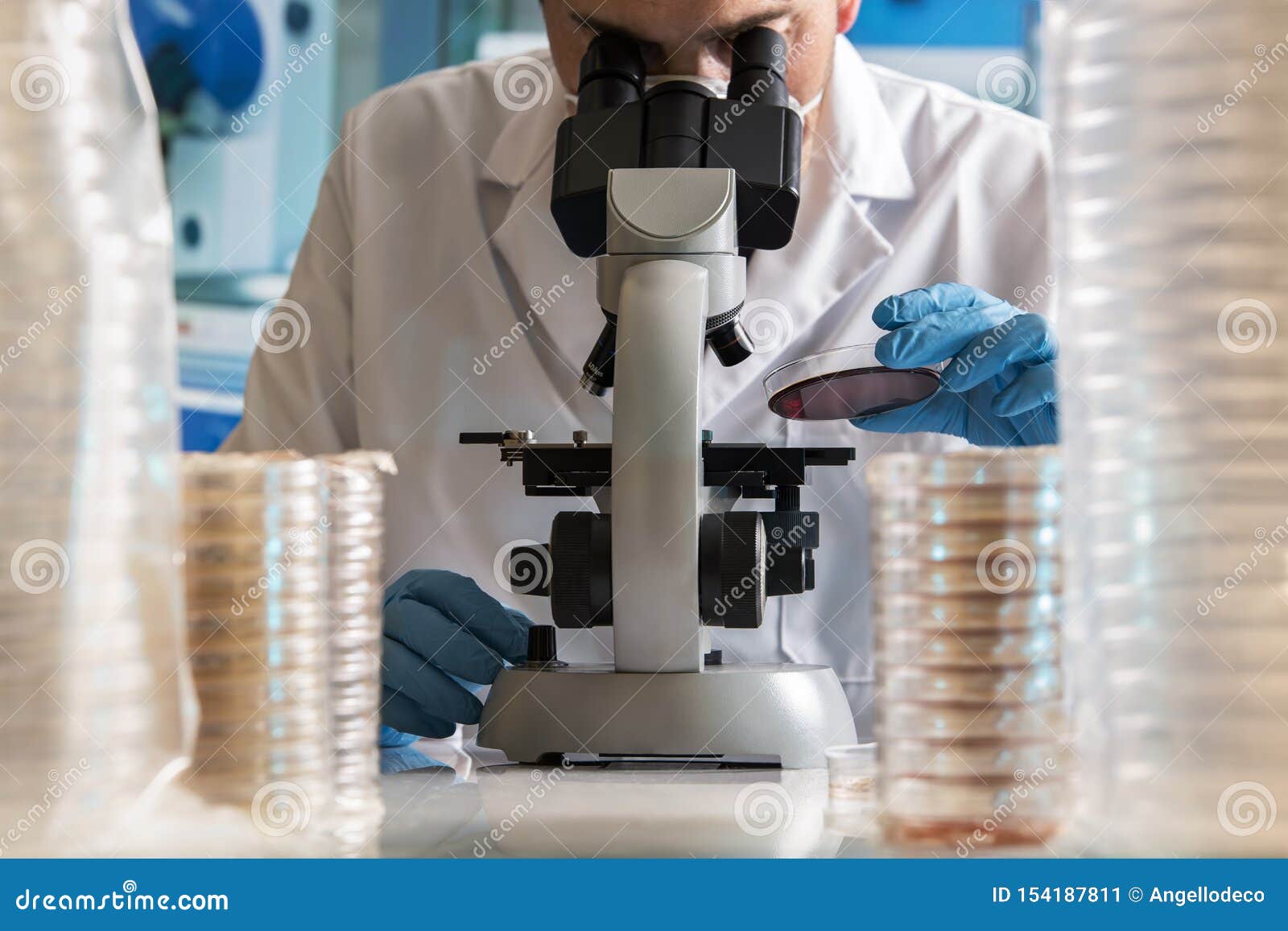 Microbiologist Who Is Working With Blood Tube Test In The Microbiology ...