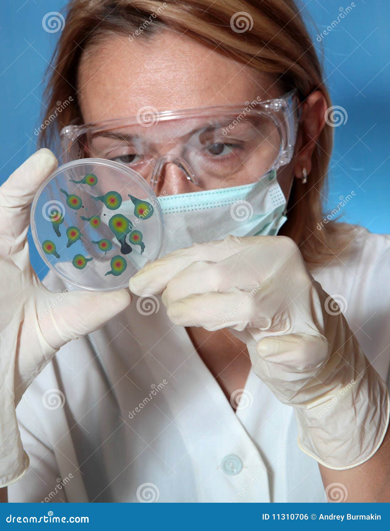 Microbiology stock photo. Image of scrutiny, chemist - 11310706