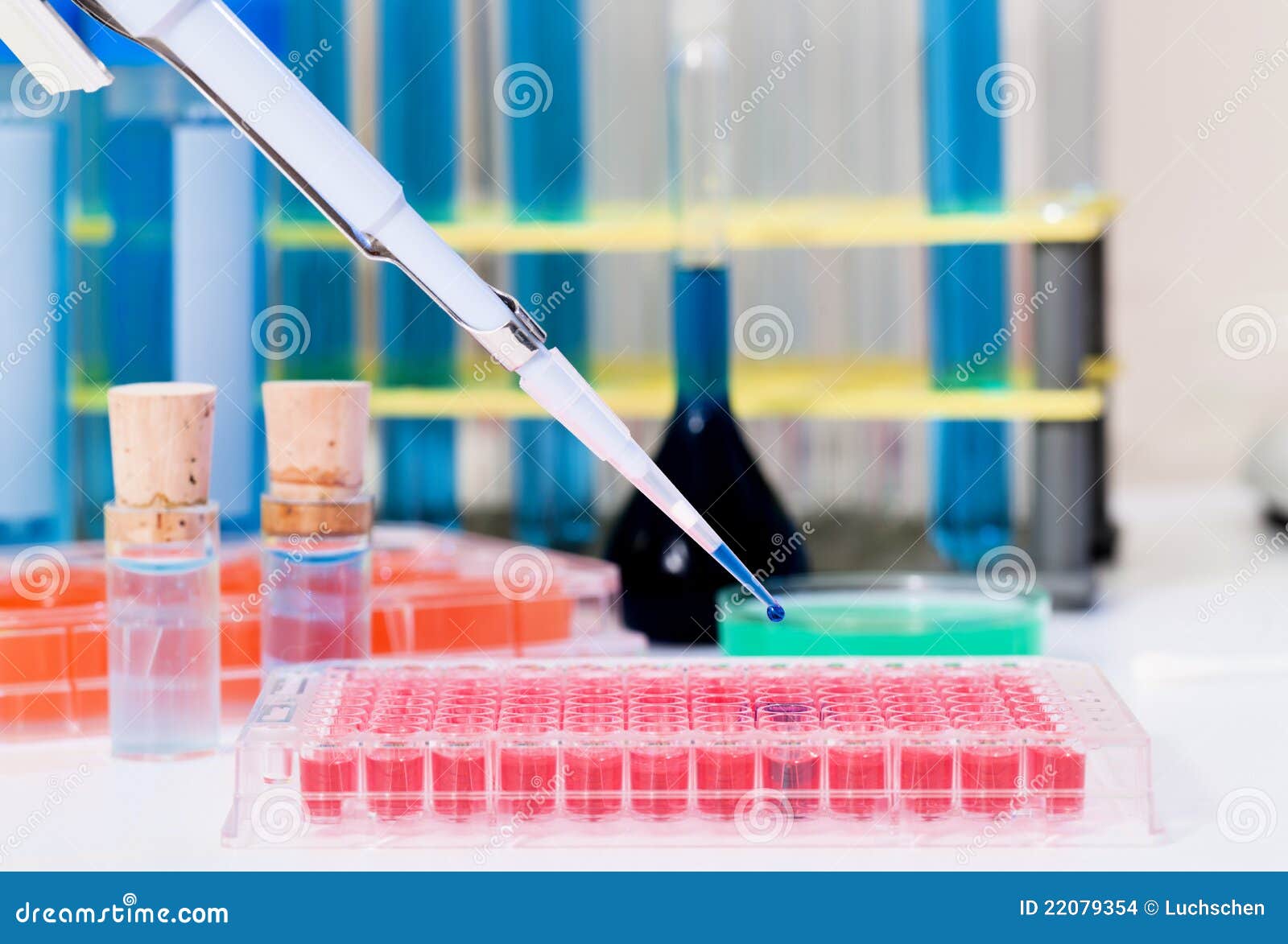 Microbiology stock photo. Image of chemistry, solution - 22079354