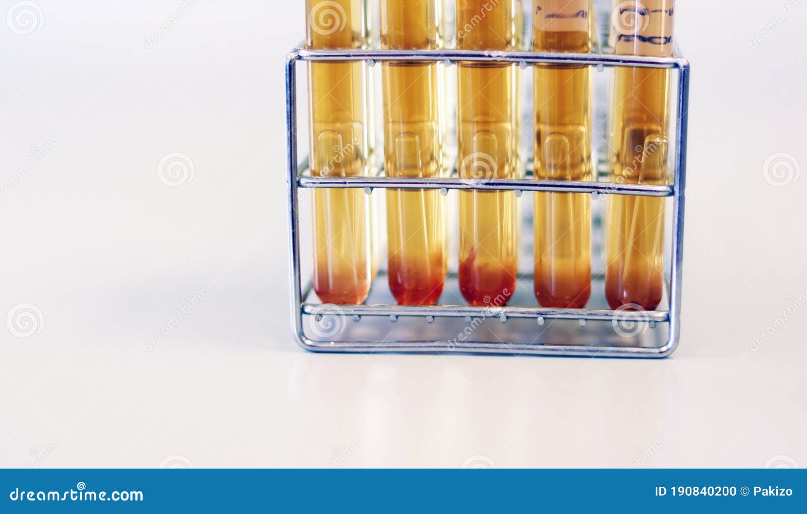 Microbiology Analysis E.Coli in Food Sample Use Most Probable Number ... Microbiology Analysis E.Coli in Food Sample Use Most Probable Number ...