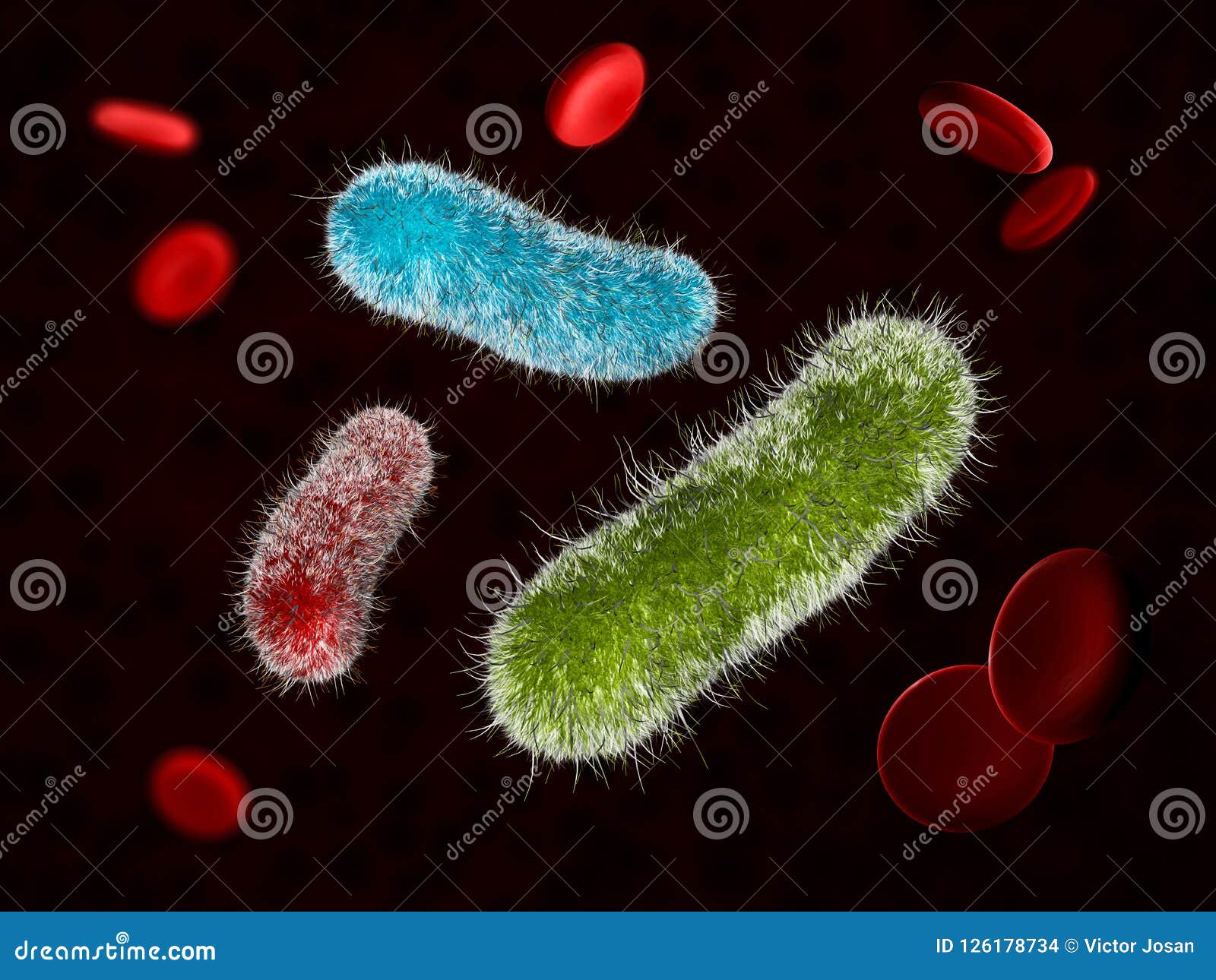 Microbiology Background. Viruses, Infection Microflora and Bacteria for ...