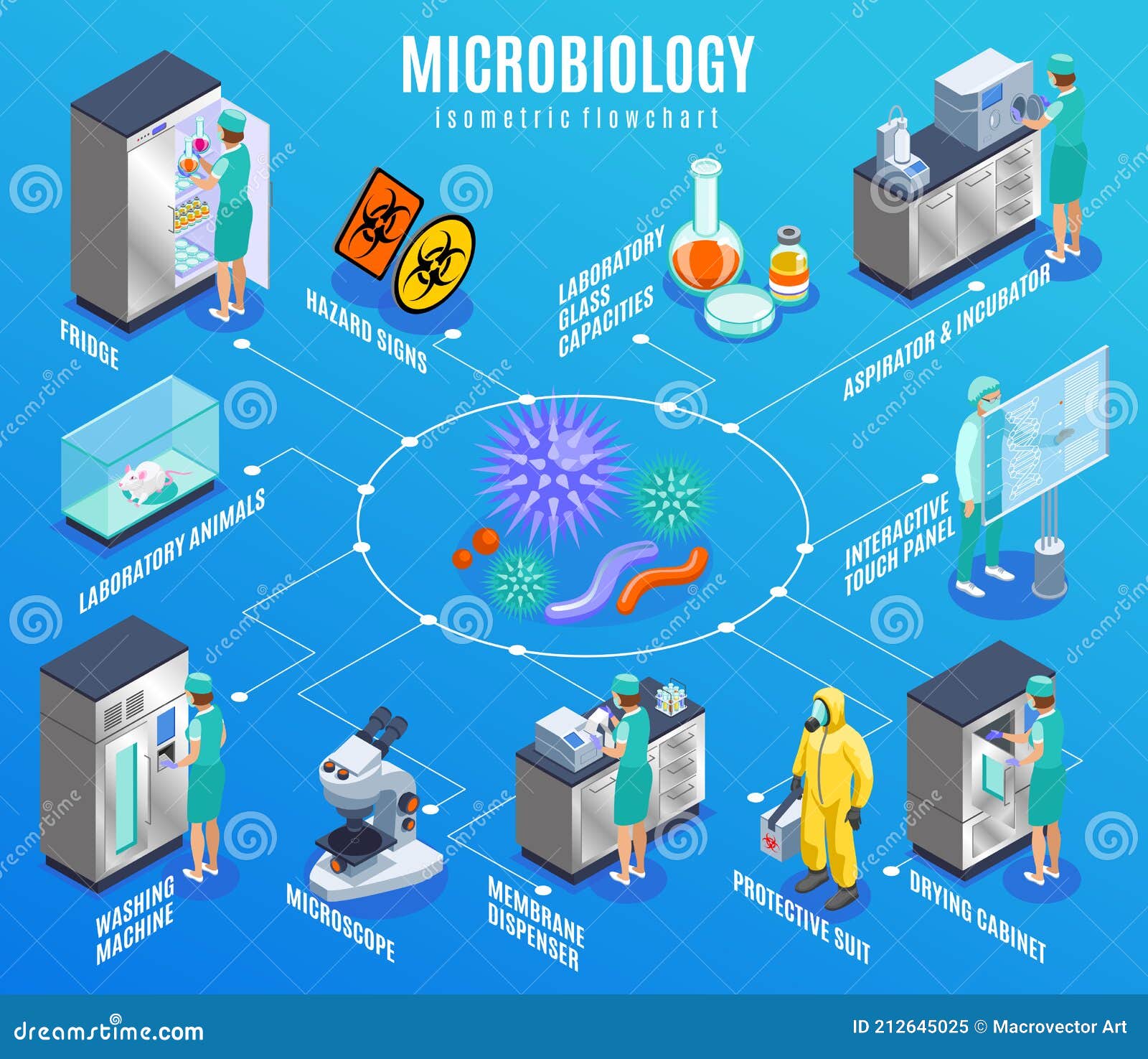 Microbiology Isometric Flowchart Stock Vector - Illustration of ...