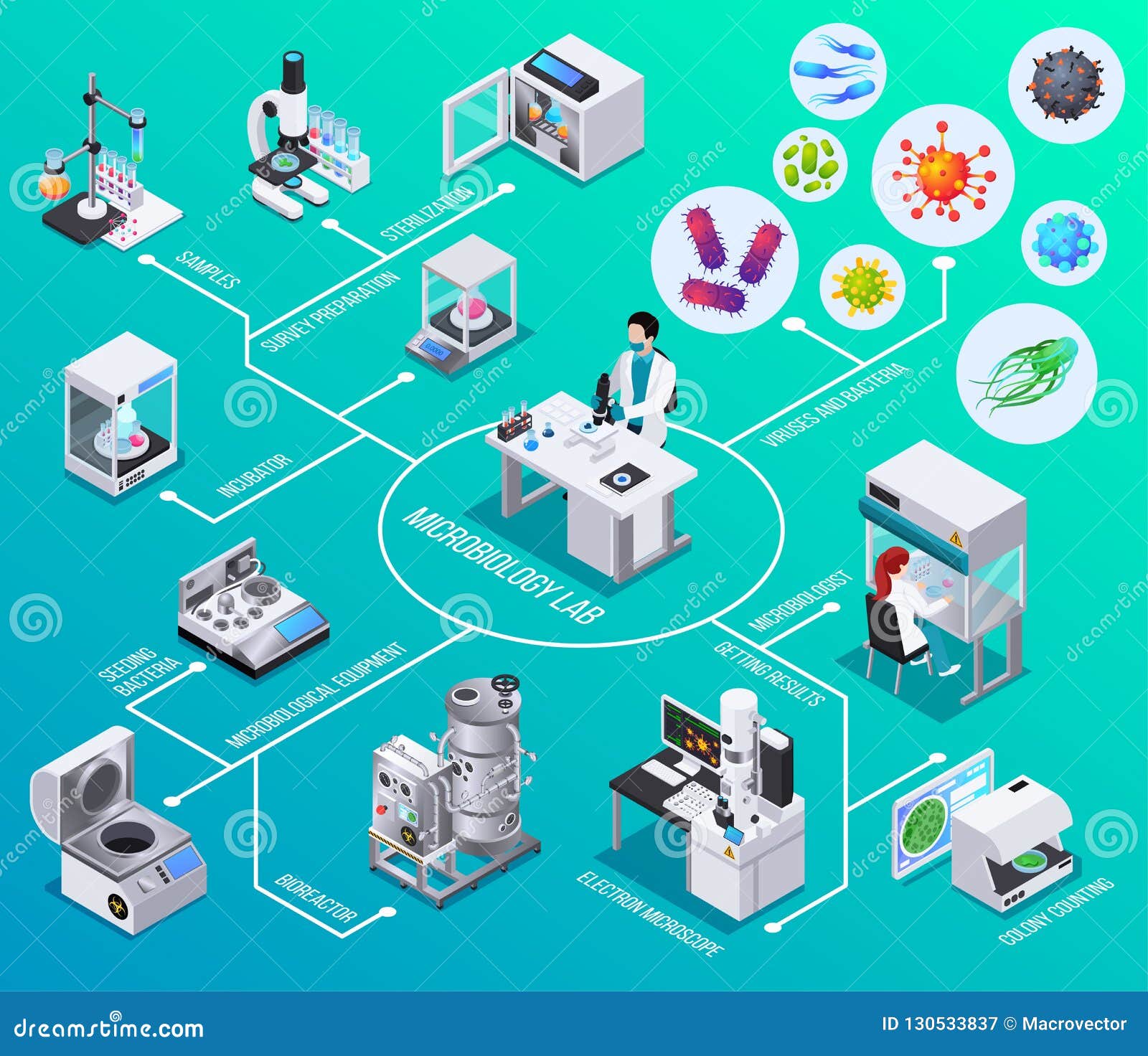 Microbiology Lab Isometric Flowchart Cartoon Vector | CartoonDealer.com ...