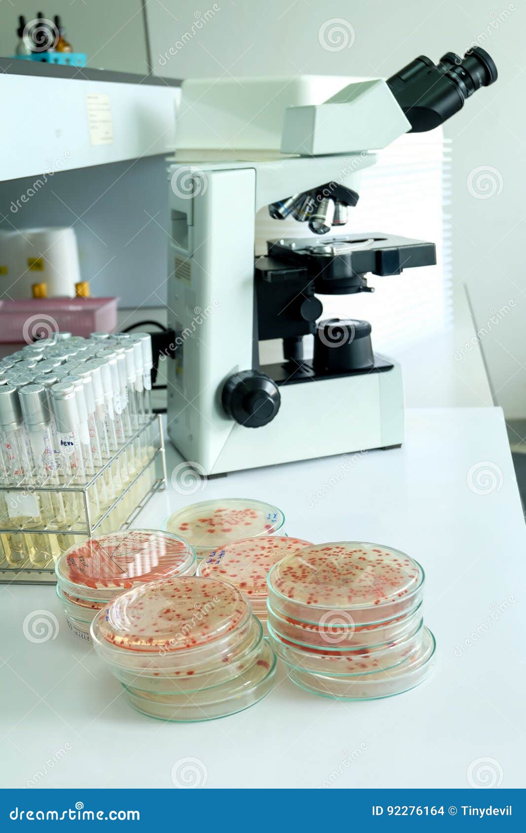 127,866 Microbiology Photos - Free & Royalty-Free Stock Photos from ...