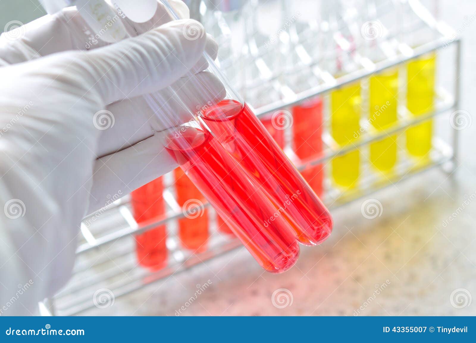 Microbiology Laboratory Test Stock Image - Image of penicillum, dish ...