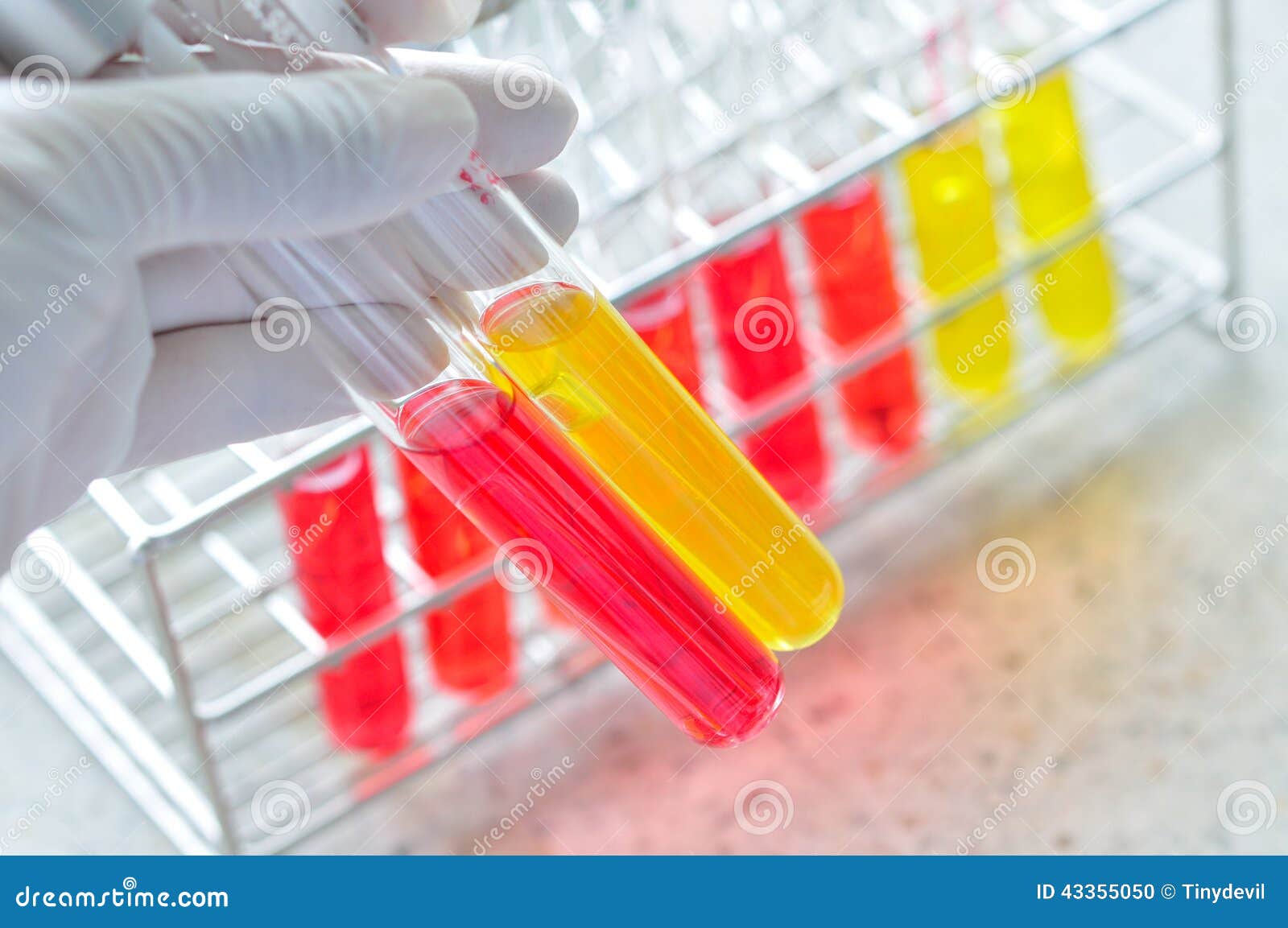 Microbiology Laboratory Test Stock Photo - Image of organism ...
