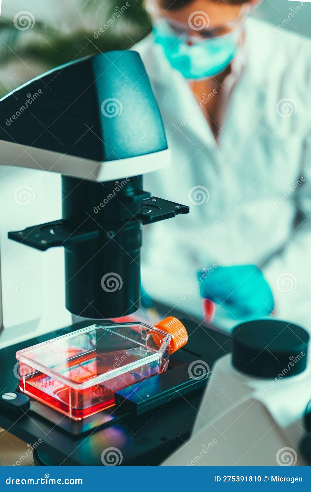 Microbiology Laboratory Work Stock Photo - Image of research, medical ...