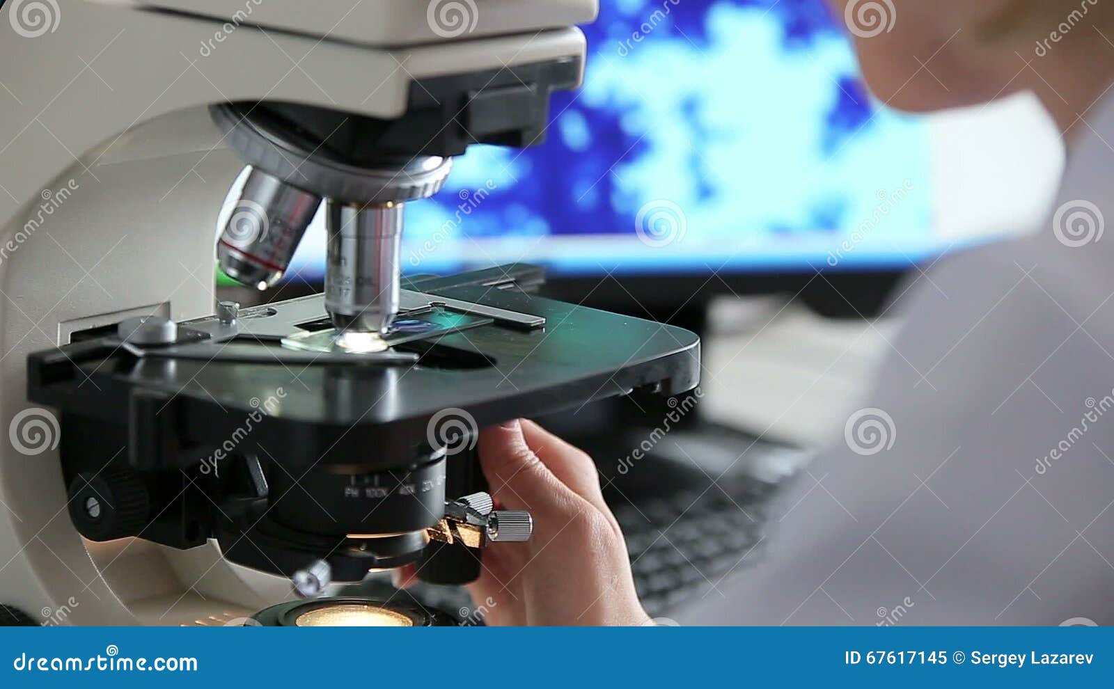 Microbiology Laboratory Work with Microscope Stock Video - Video of ...