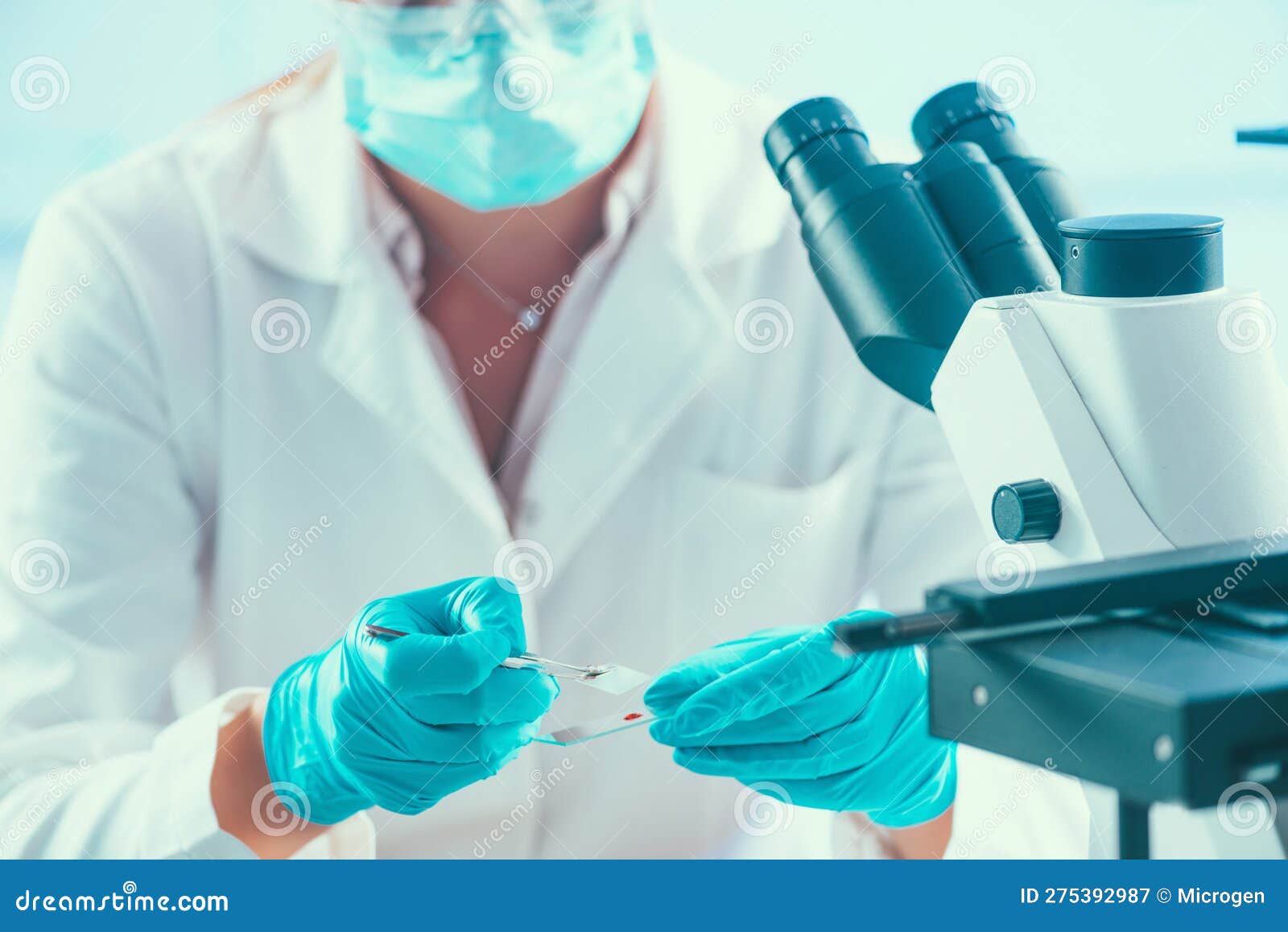Microbiology Laboratory Work Stock Image - Image of test, laboratory ...