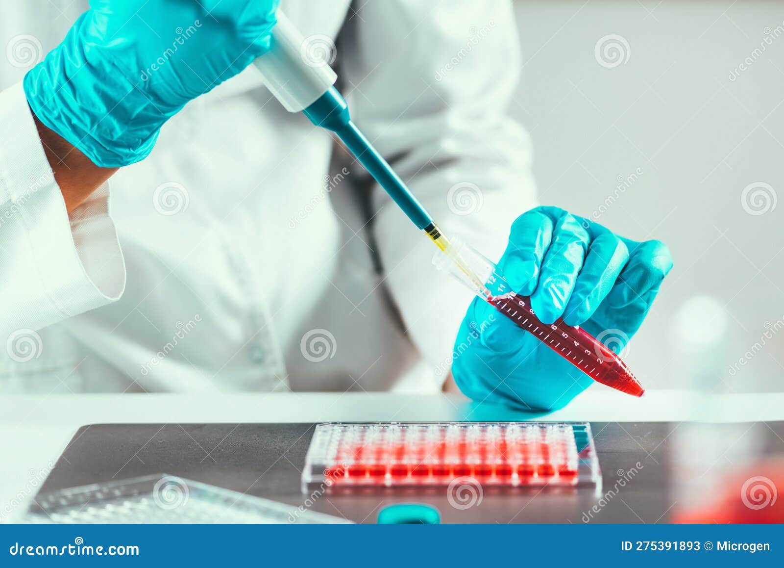 Microbiology Laboratory Work Stock Image - Image of beaker, genetic ...