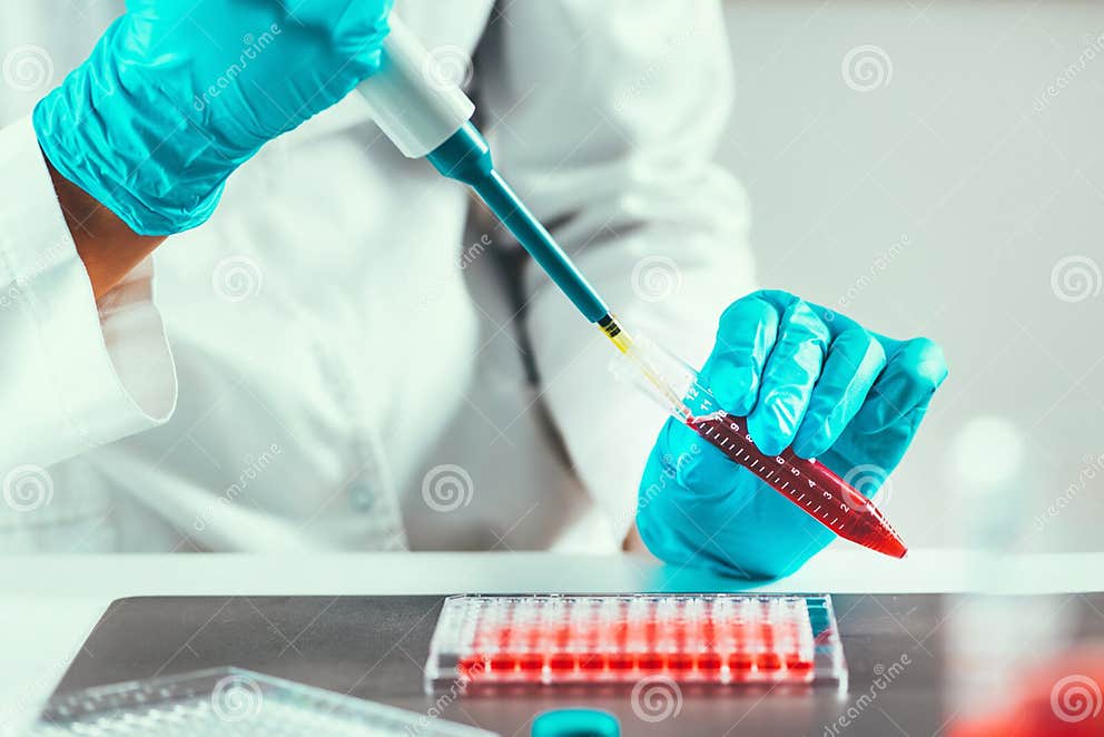 Microbiology Laboratory Work Stock Image - Image of beaker, genetic ...