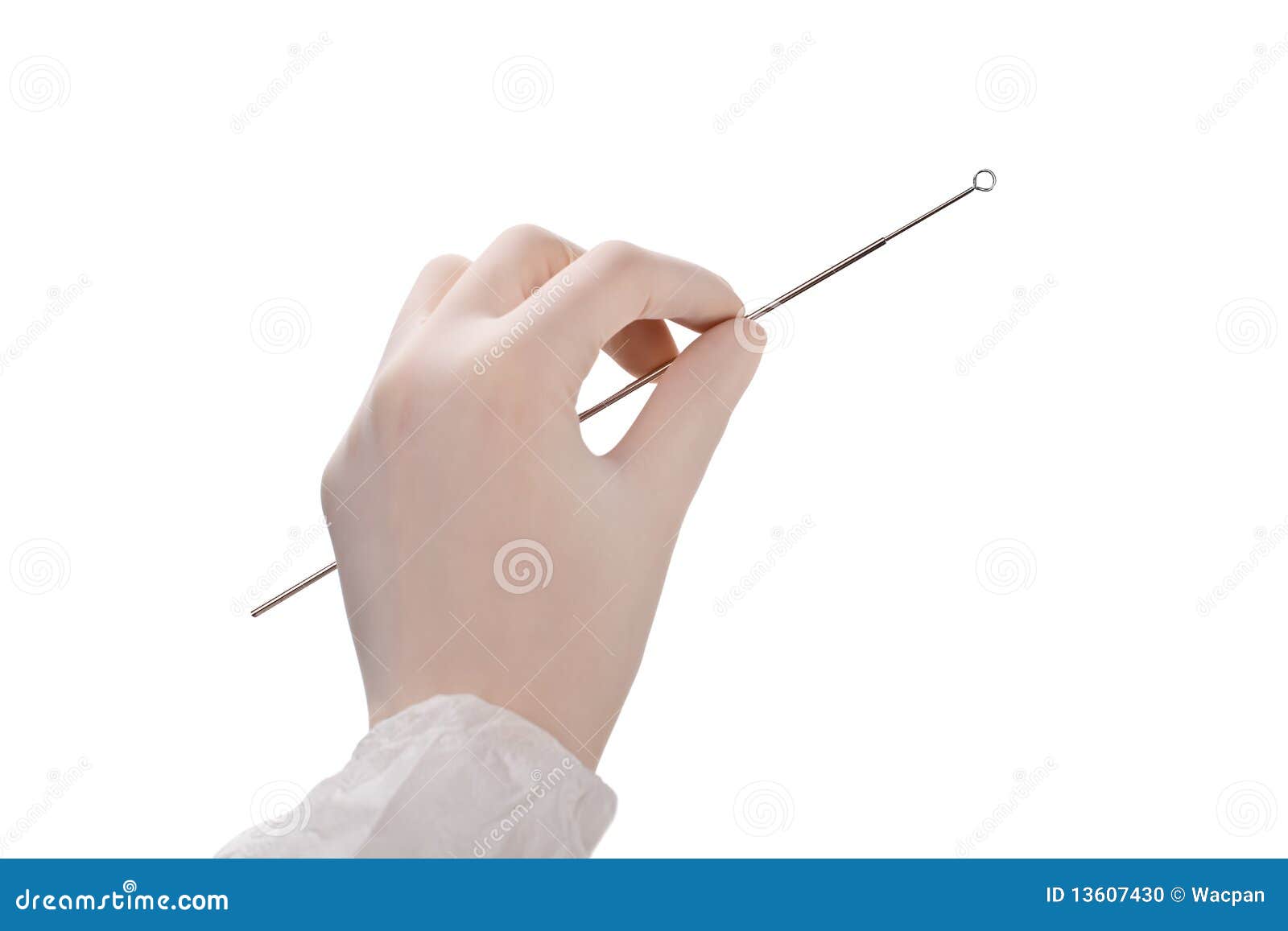 Microbiology loop stock photo. Image of platinum, laboratory - 13607430