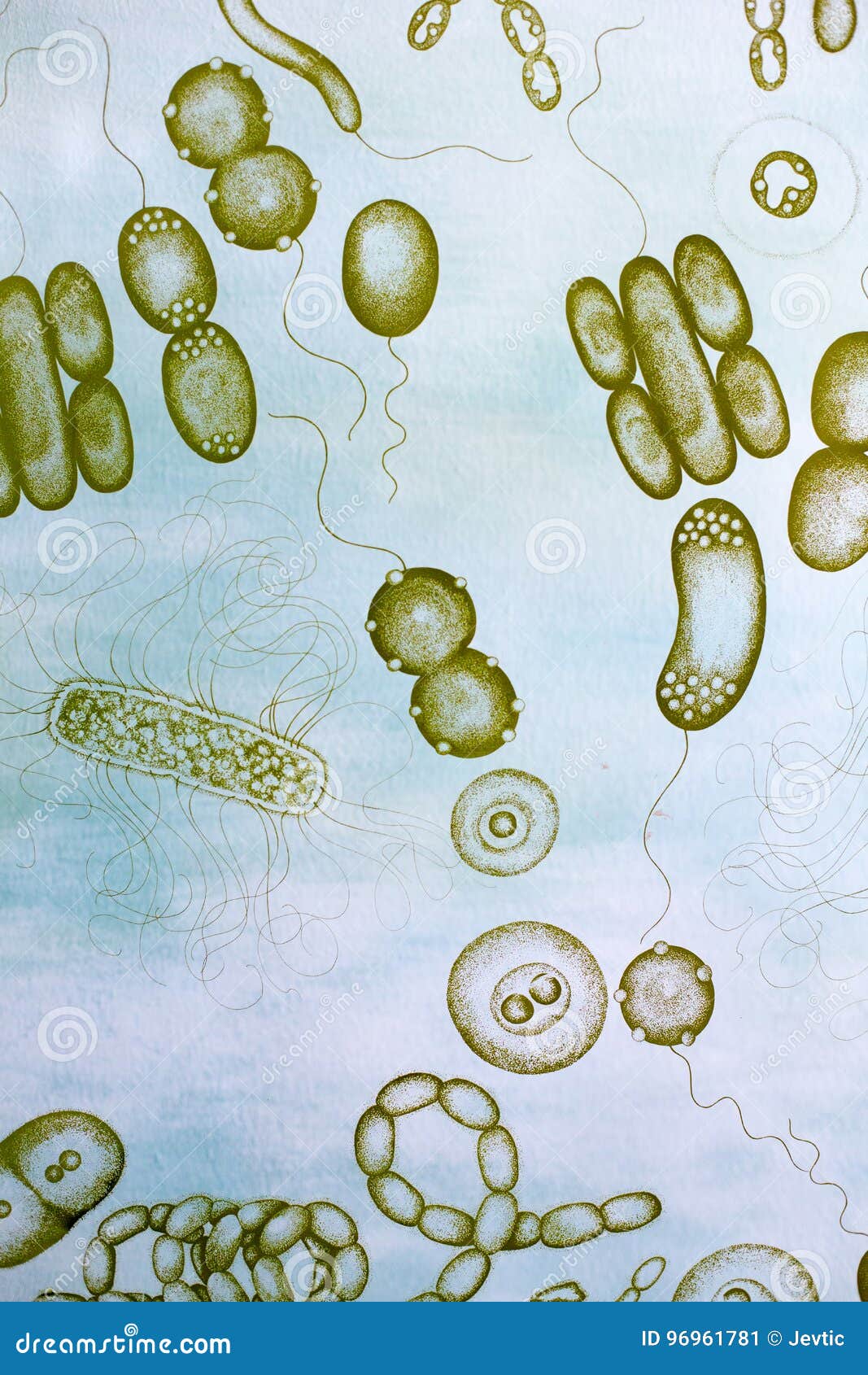 Microbiology and Microscopy Sample Stock Image - Image of health ...